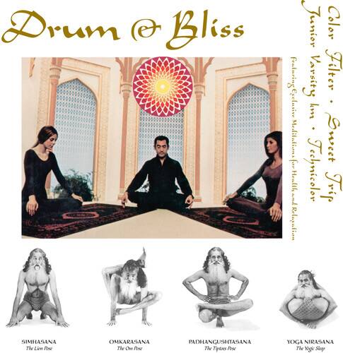 Various Artists Drum & Bliss COMPACT DISCS [CD] - Best Buy