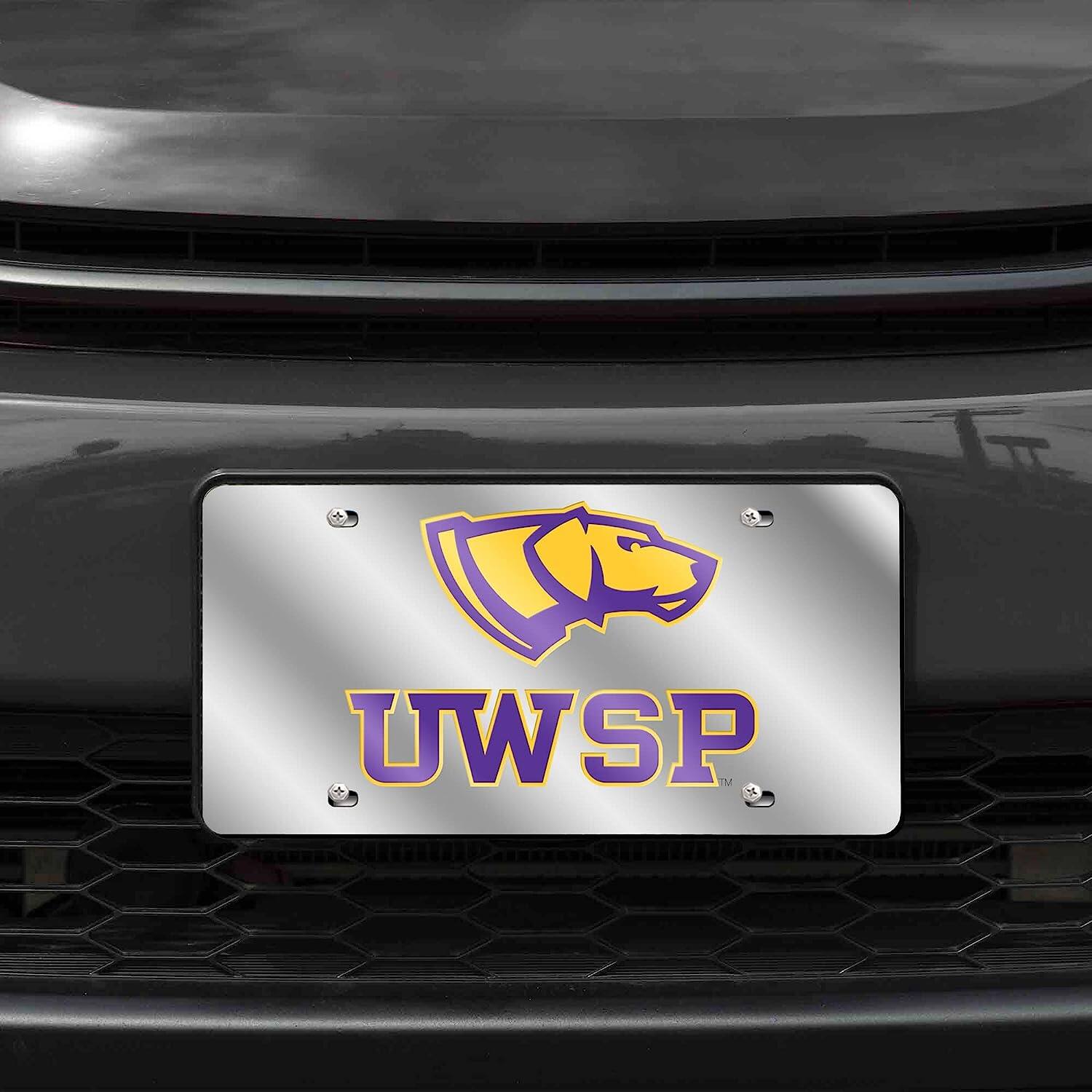 Rico Industries Wisconsin Stevens Point Pointers Mirrored Laser Cut ...