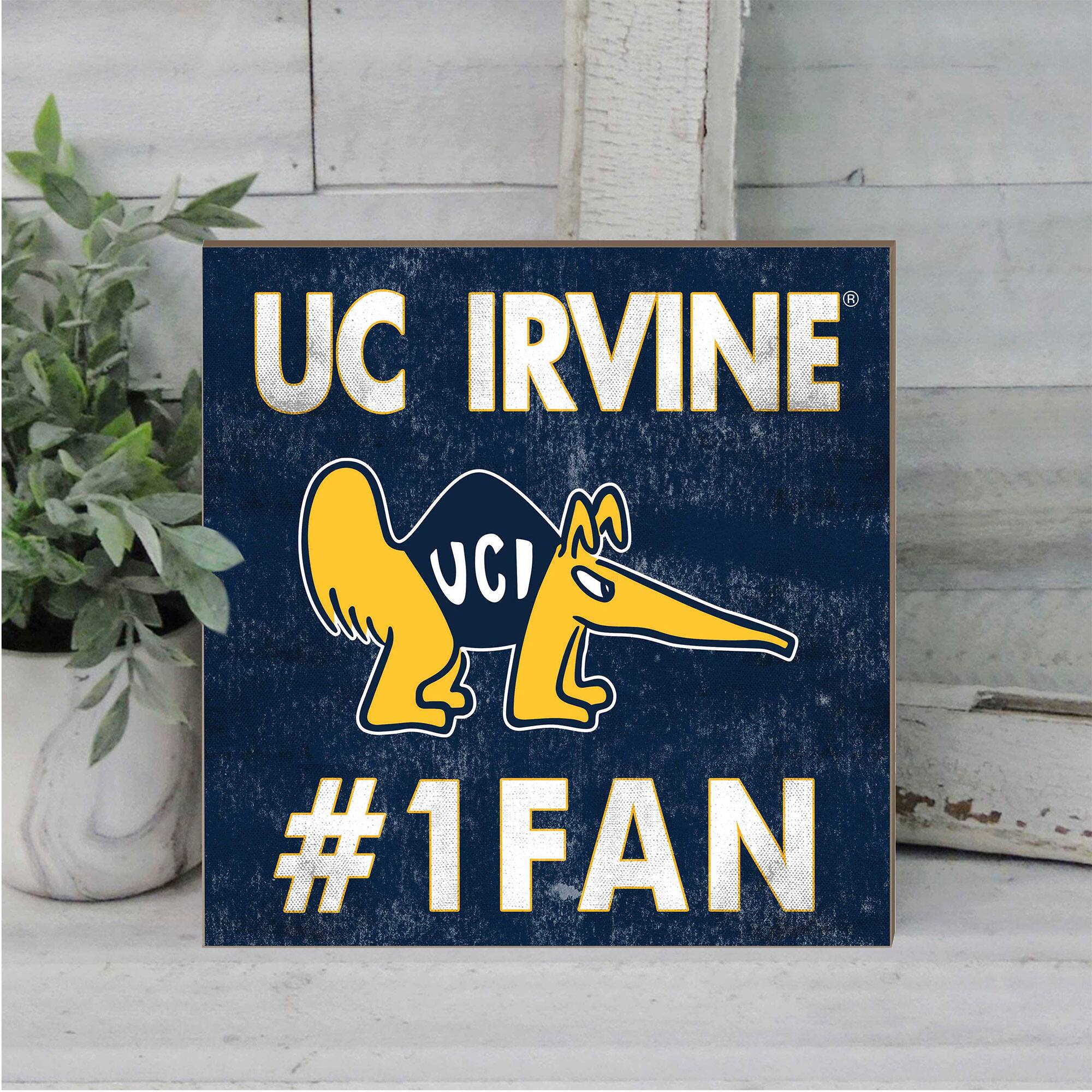 Jardine UC Irvine Anteaters 10" x 10" #1 Fan Plaque Navy 200834868 ...