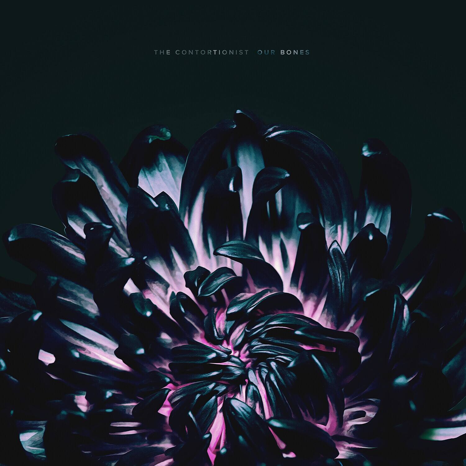 The Contortionist Our Bones COMPACT DISCS [CD] - Best Buy
