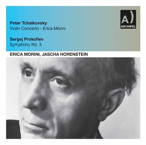 Jascha Horenstein Violin Concerto: Erica Morini COMPACT DISCS [CD] - Best Buy