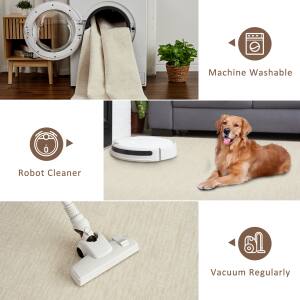 Acekool Vintage Area Rugs for Living Room,Washable Minimalist Area Rug ...