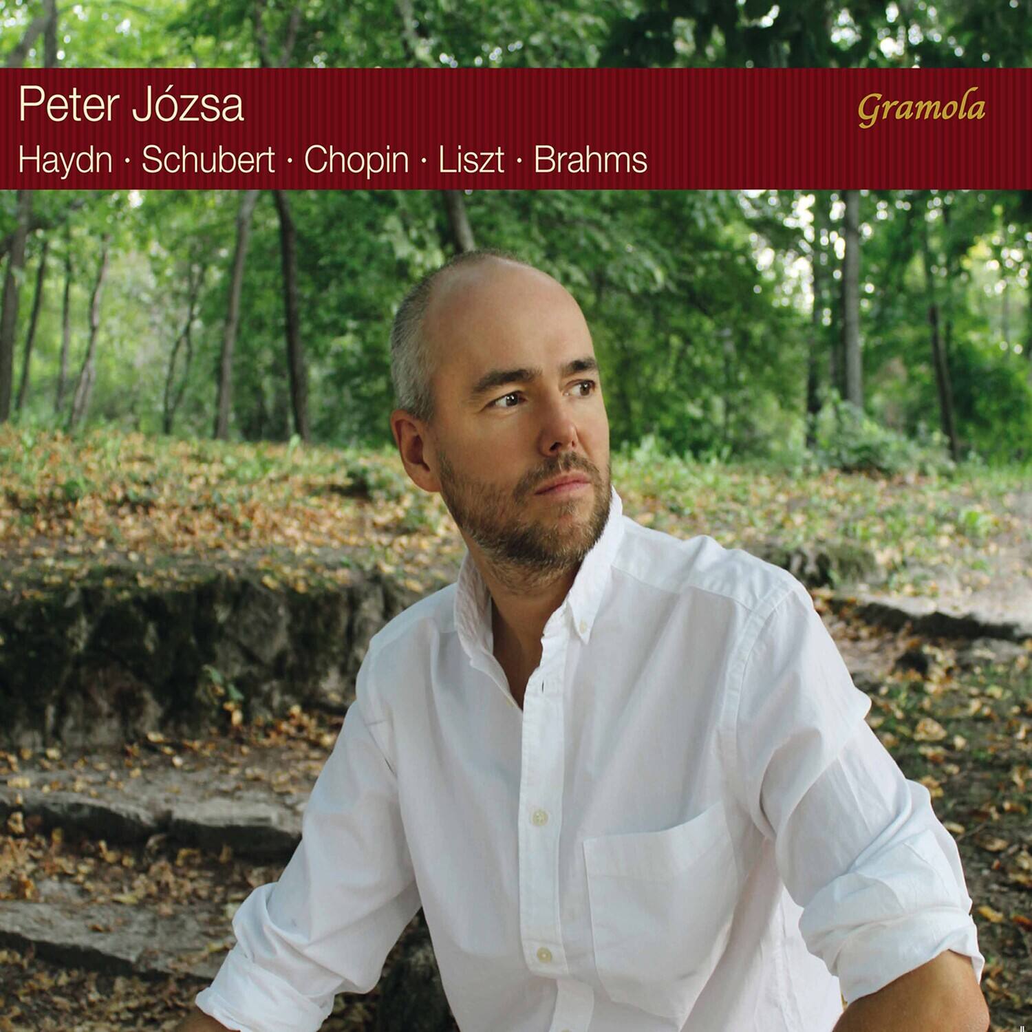 Peter Jozsa Portrait COMPACT DISCS [CD] - Best Buy