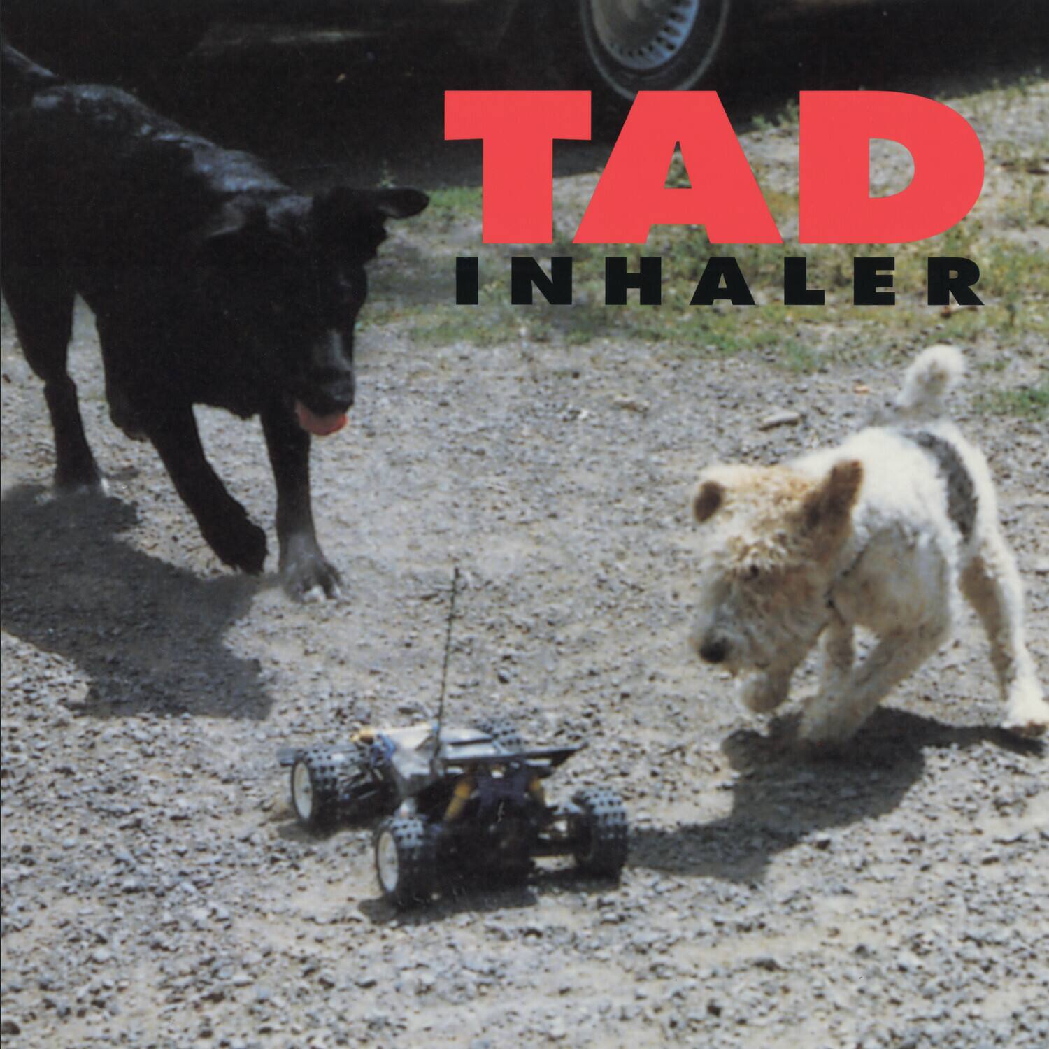 Tad Inhaler COMPACT DISCS [CD] - Best Buy