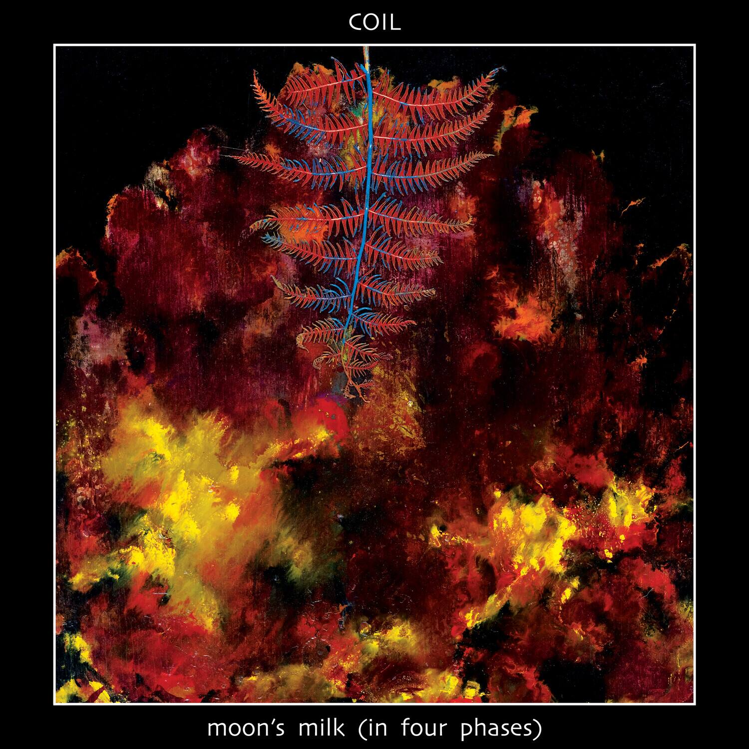 Coil Moon's Milk (in Four Phases) COMPACT DISCS [CD] - Best Buy