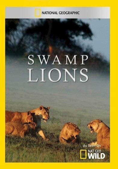 Swamp Lions DVD - Best Buy