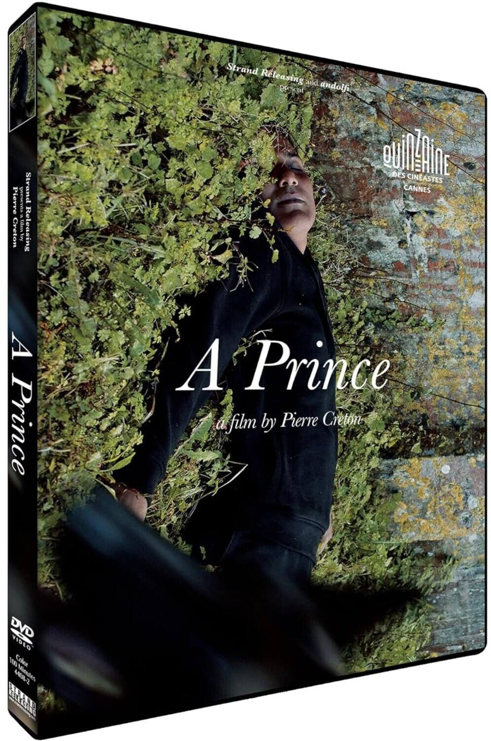 Prince DVD - Best Buy