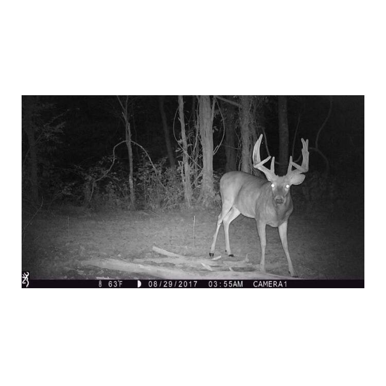 Browning Strike Force Pro X Trail Camera w/SD Card, Security Box Bundle ...