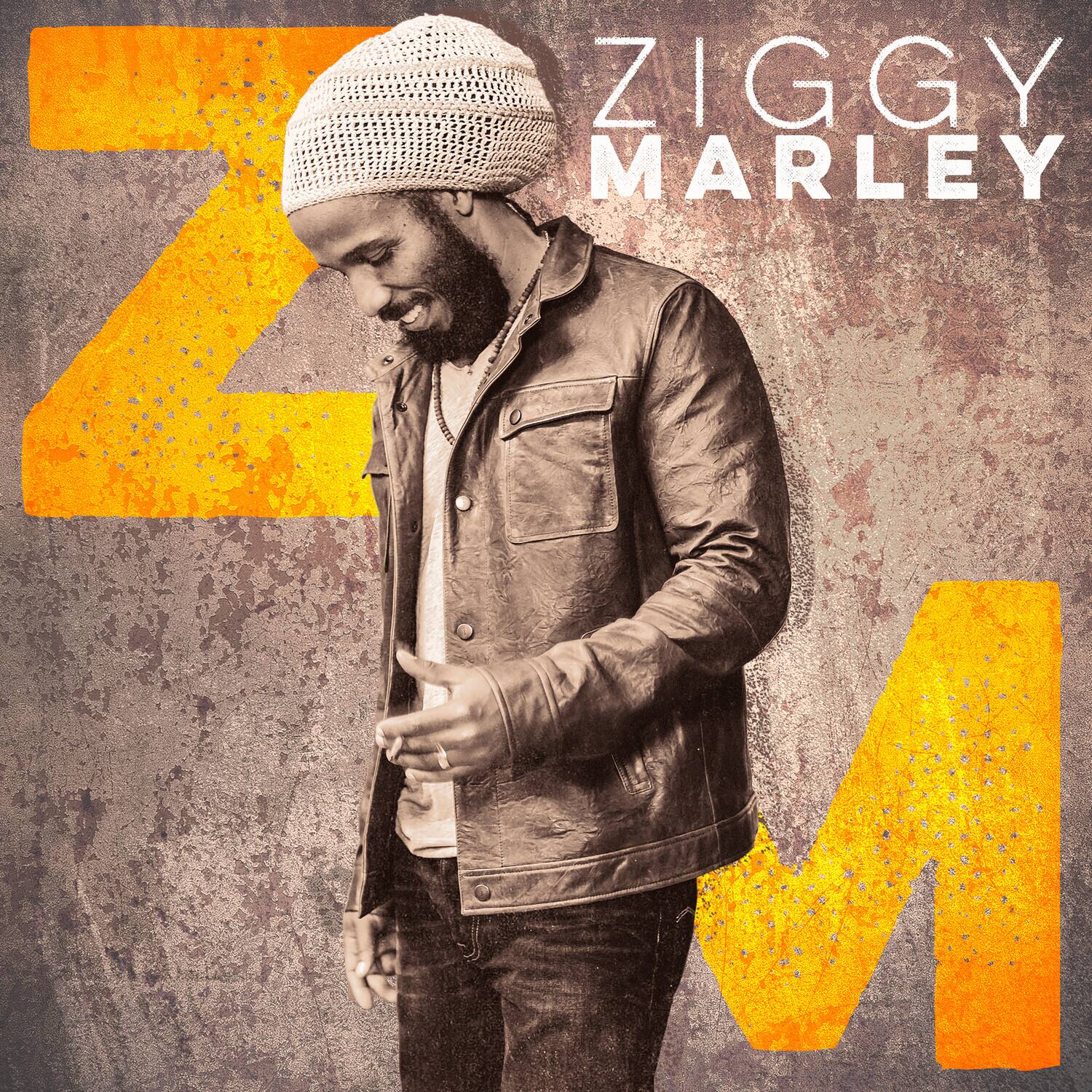 Ziggy Marley Ziggy Marley COMPACT DISCS [CD] - Best Buy