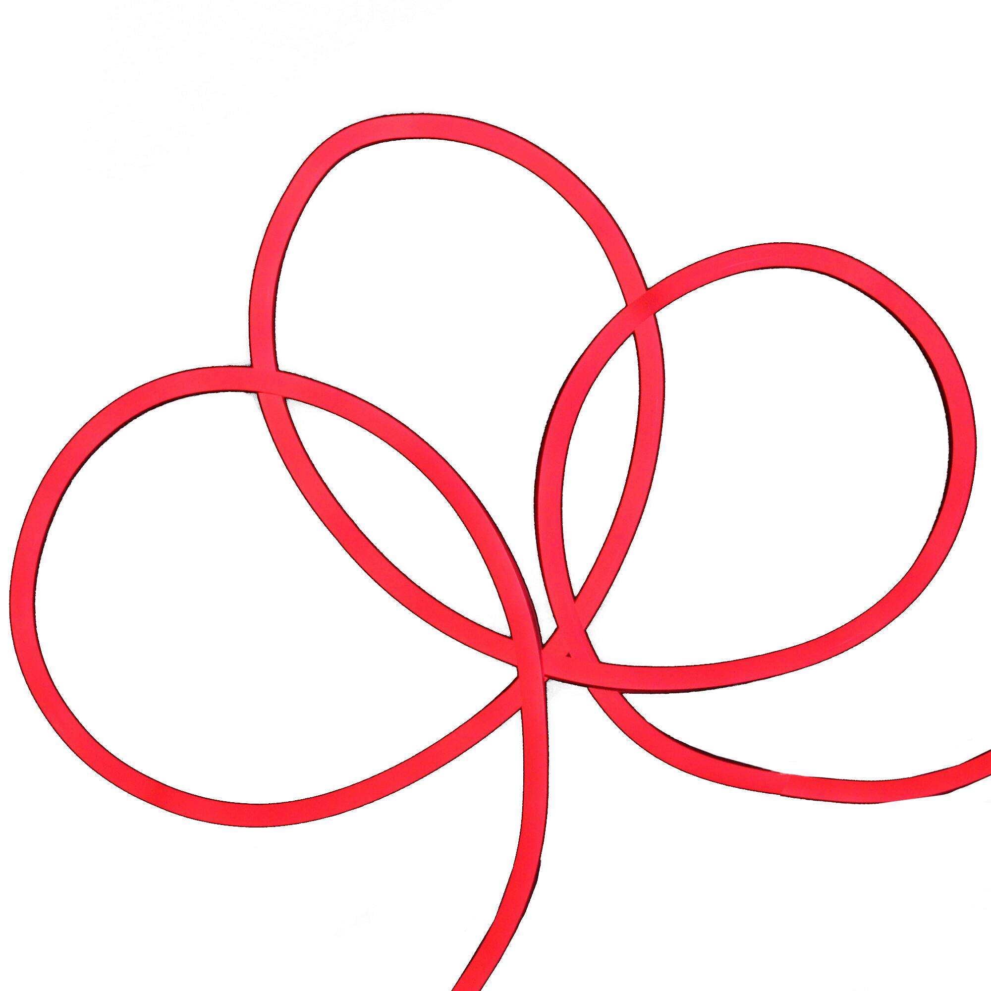 Northlight LED Commercial Grade Flexible Christmas Rope Lights 18' Wire ...