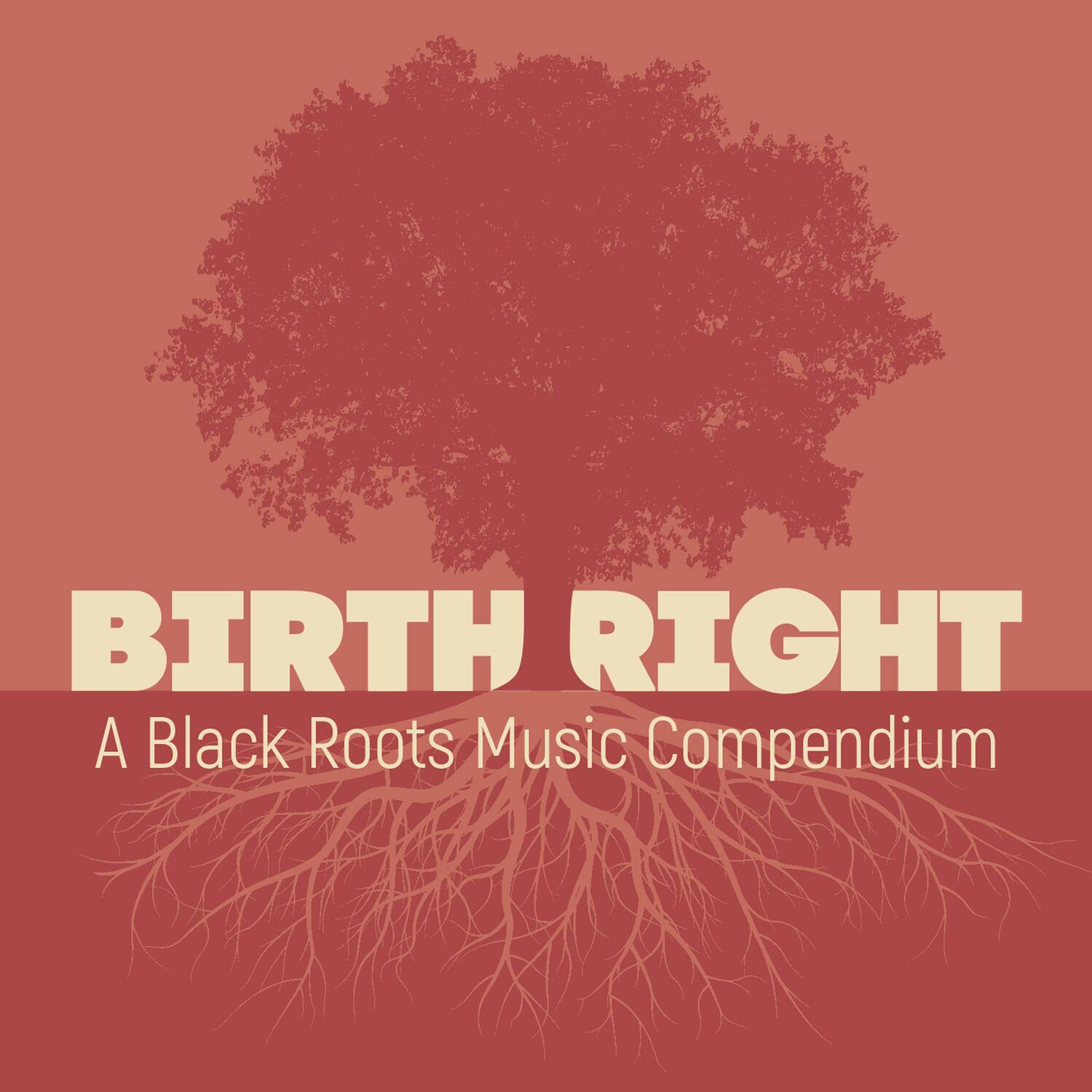 Various Artists Birthright: A Black Roots Music Compendium (Various ...