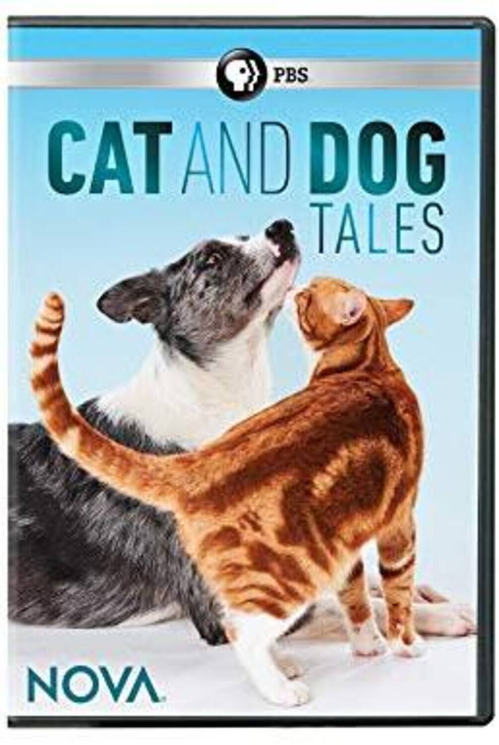 NOVA: Cat and Dog Tales DVD - Best Buy