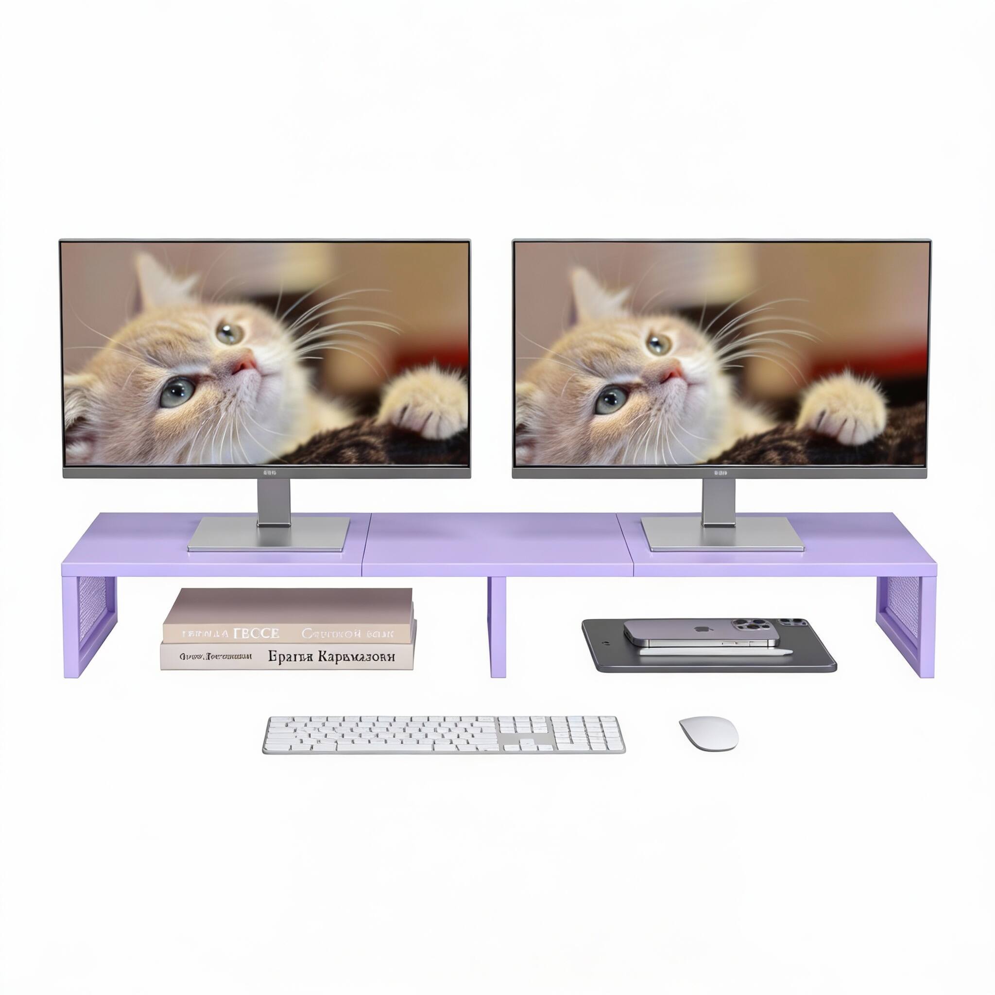 Frangdom Dual Monitor Stand Riser with Storage for Desk Office Supplies ...