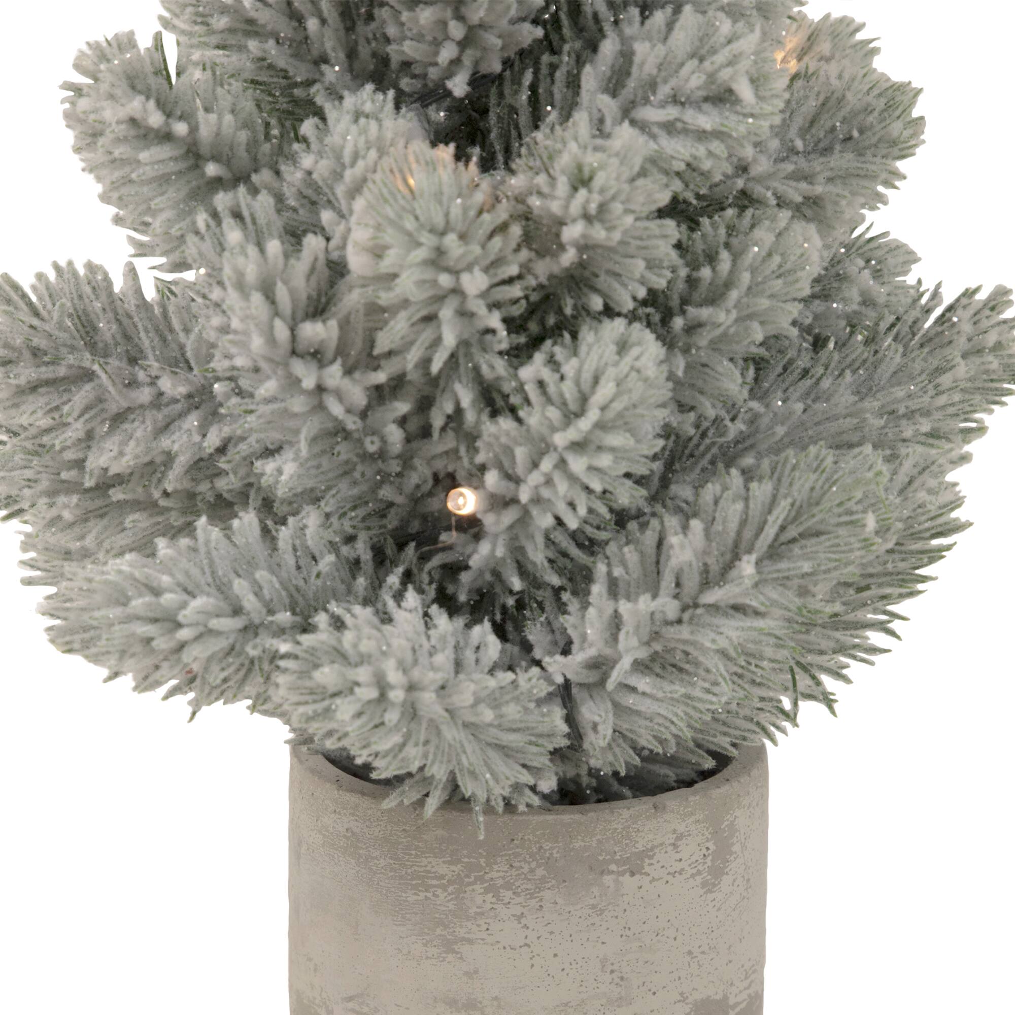 Northlight 16" LED Lighted Mini Frosted Pine Christmas Tree in Cement ...