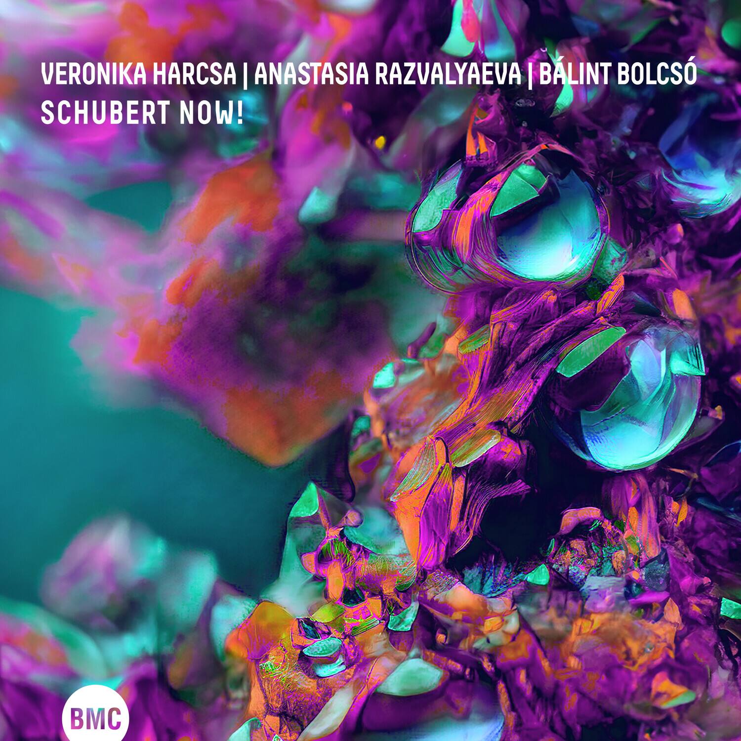 Harcsa,Veronika / Razvalyaeva,Anastasia Schubert Now COMPACT DISCS [CD] - Best Buy