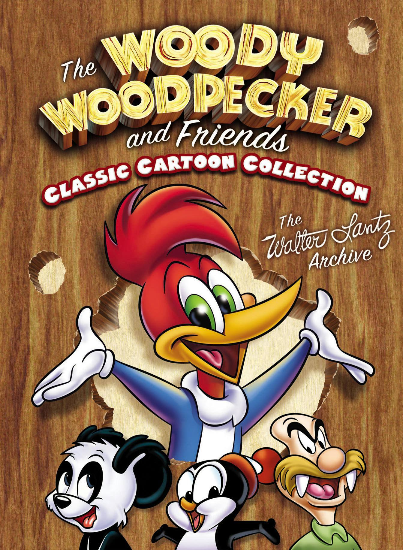 The Woody Woodpecker and Friends Classic Cartoon Collection (DVD Set ...