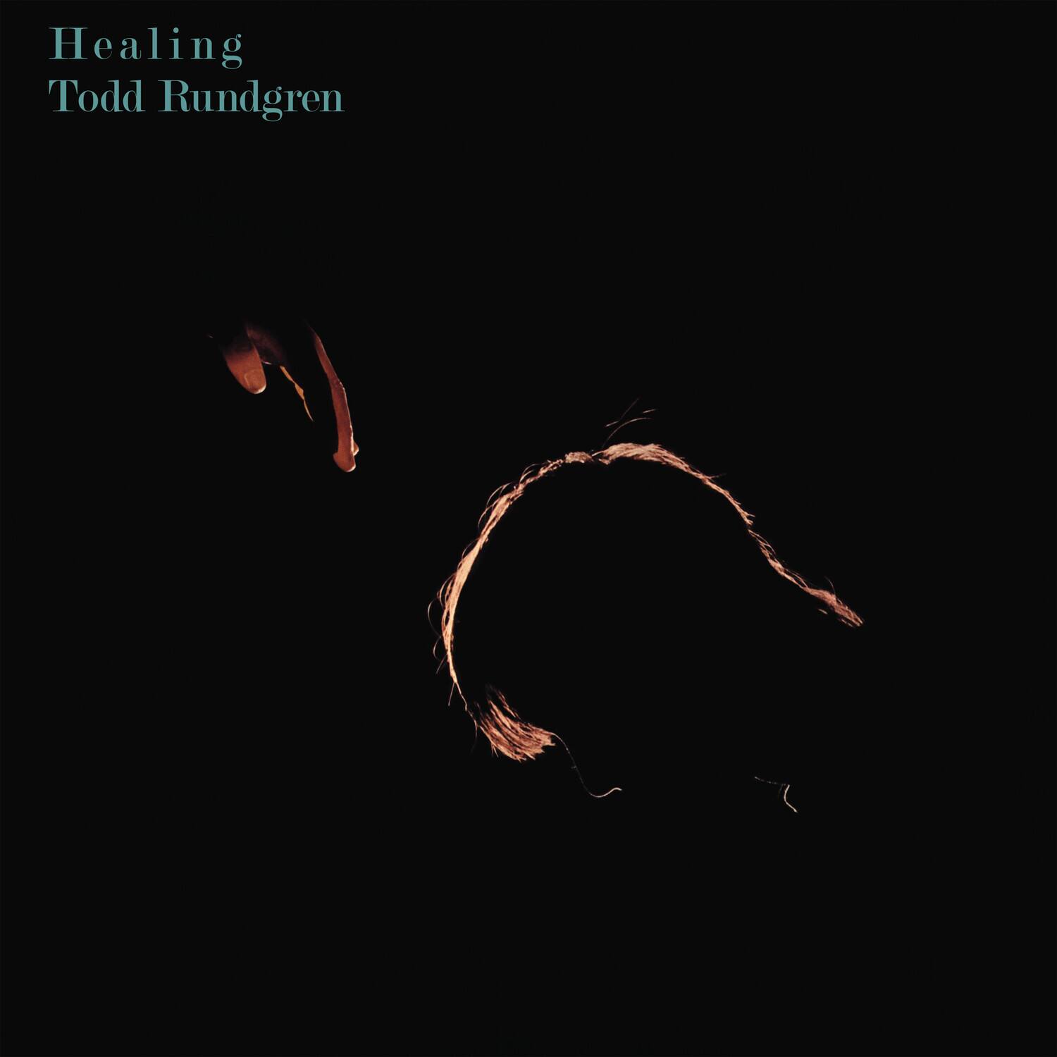 Todd Rundgren Healing VINYL LP - Best Buy