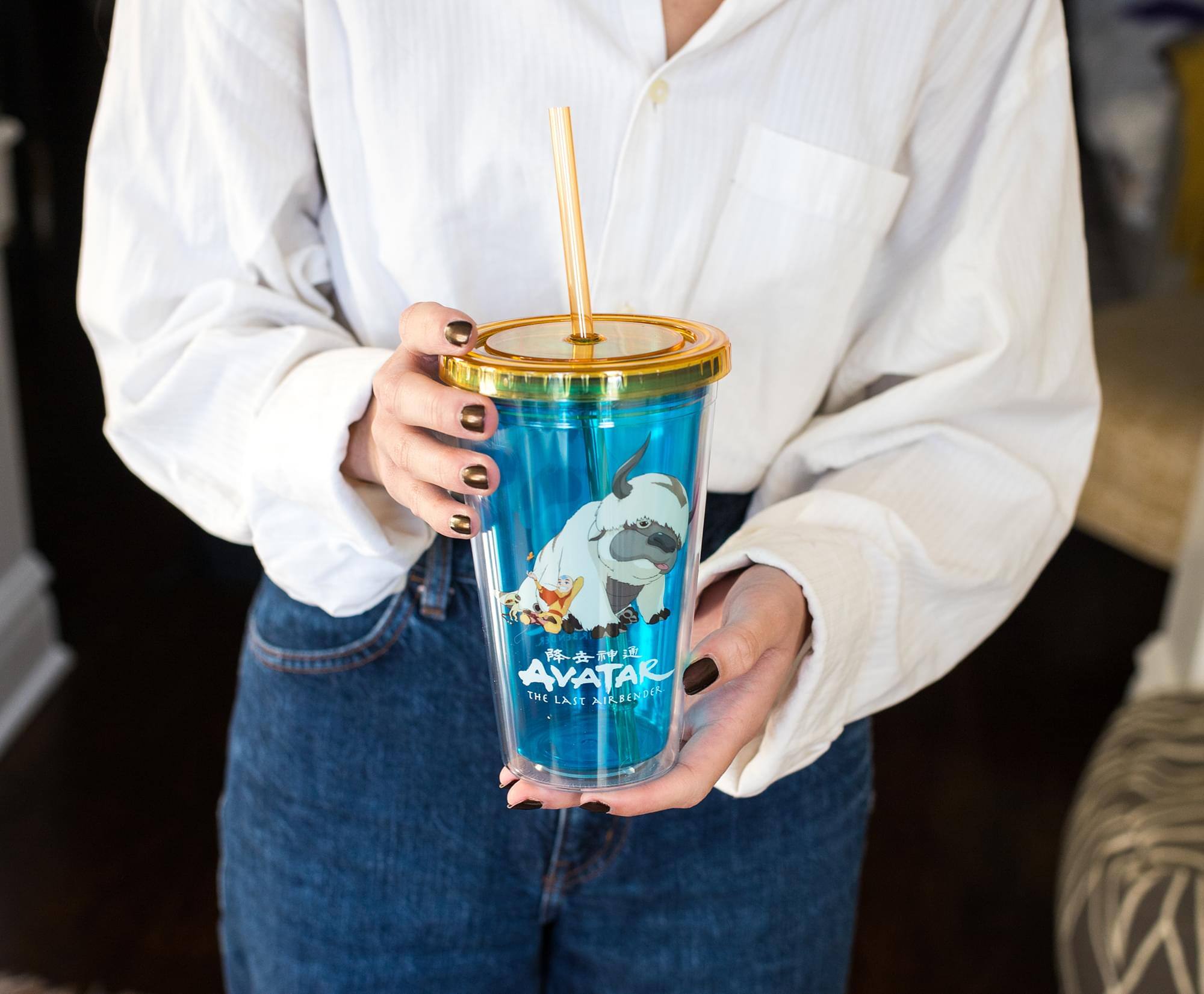 Surreal Entertainment Avatar: The Last Airbender Aang and Appa Carnival ...