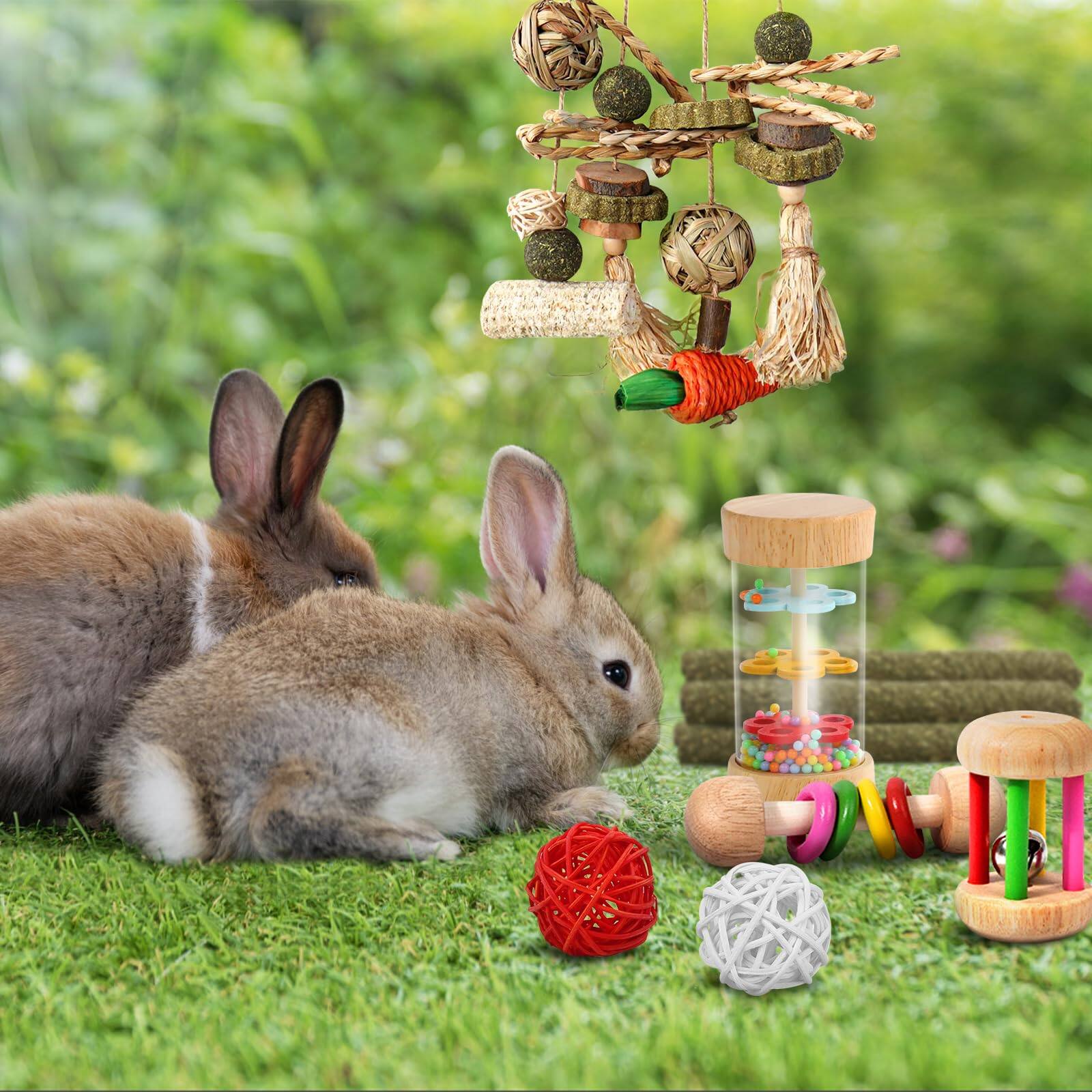 Live At Space 15pcs Rabbit Toys For Bunnies Boredom Enrichment With ...