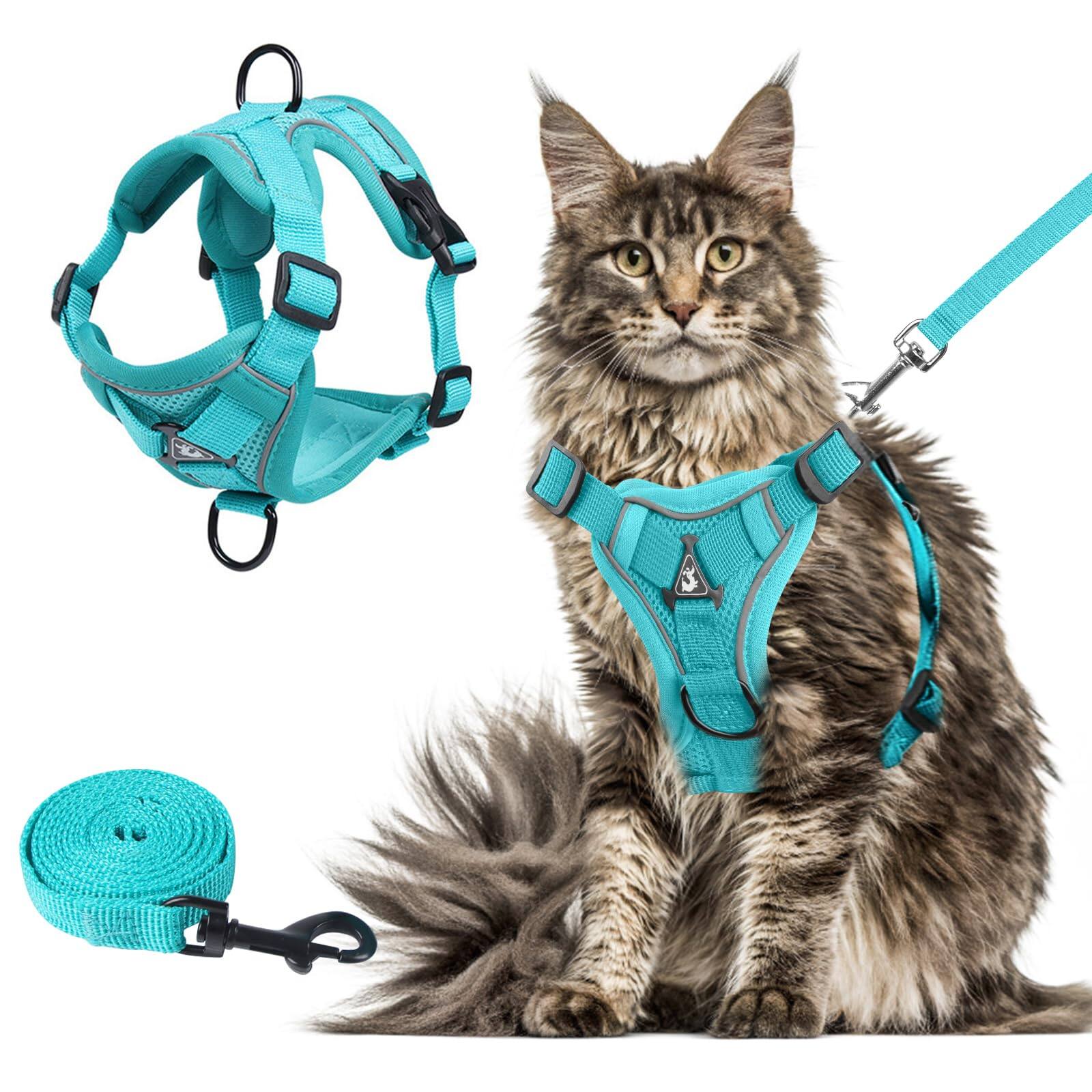 Paradigms Interiors Cat Chest Harness And Leash Anti escape Soft Mesh ...