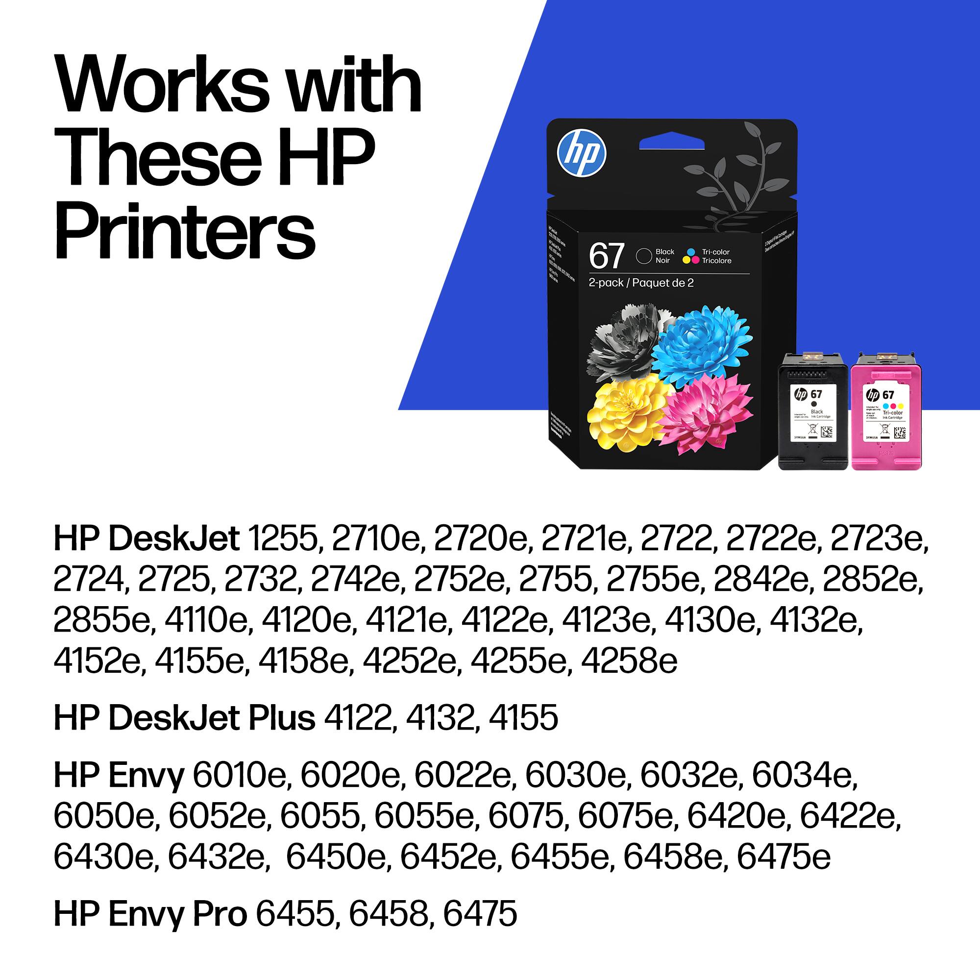 HP 67 2 Pack Standard Capacity Ink Cartridges Black/Tri color 3YP29AN ...