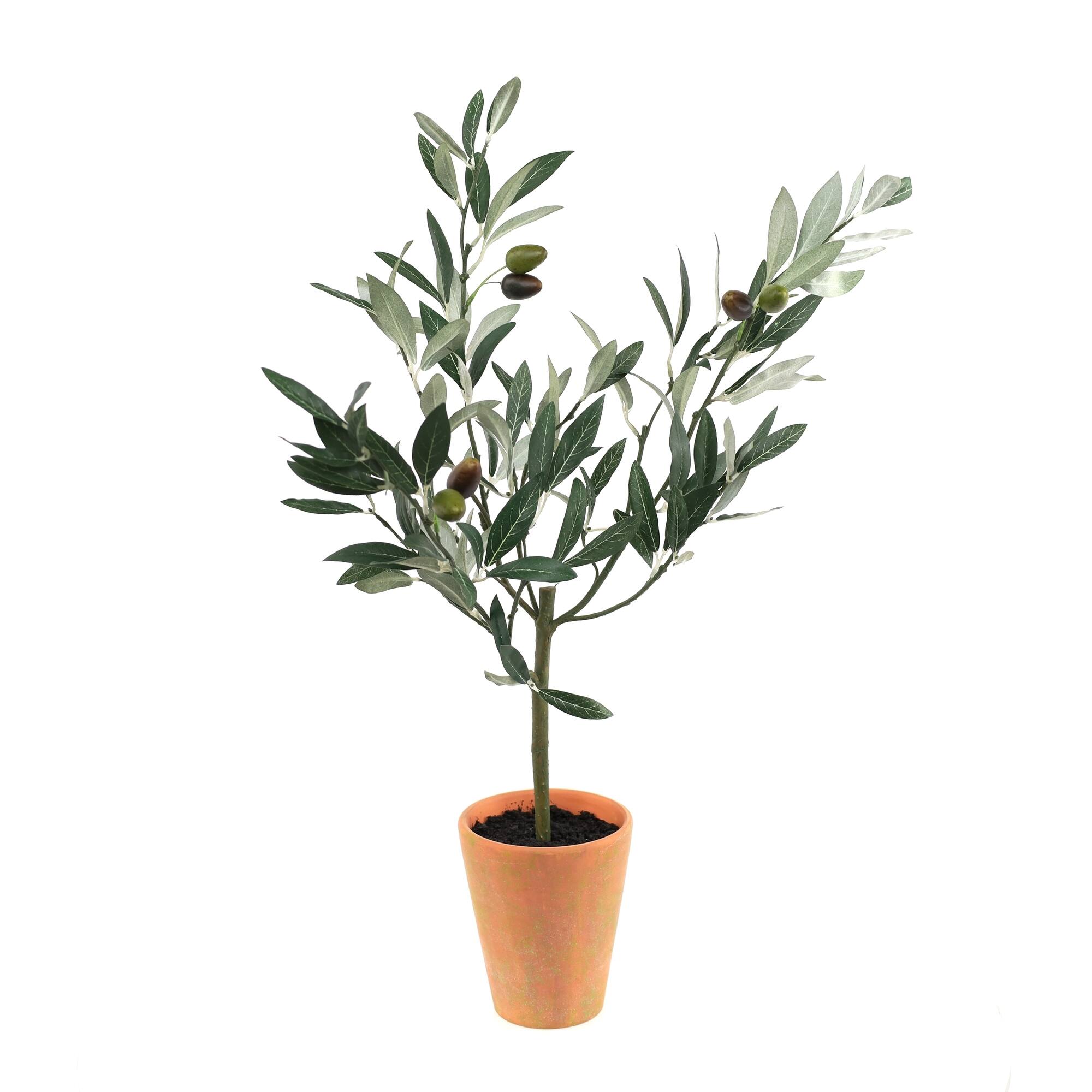 BreeBe Potted Olive Tree Topiary 22"H Green 67429DS - Best Buy
