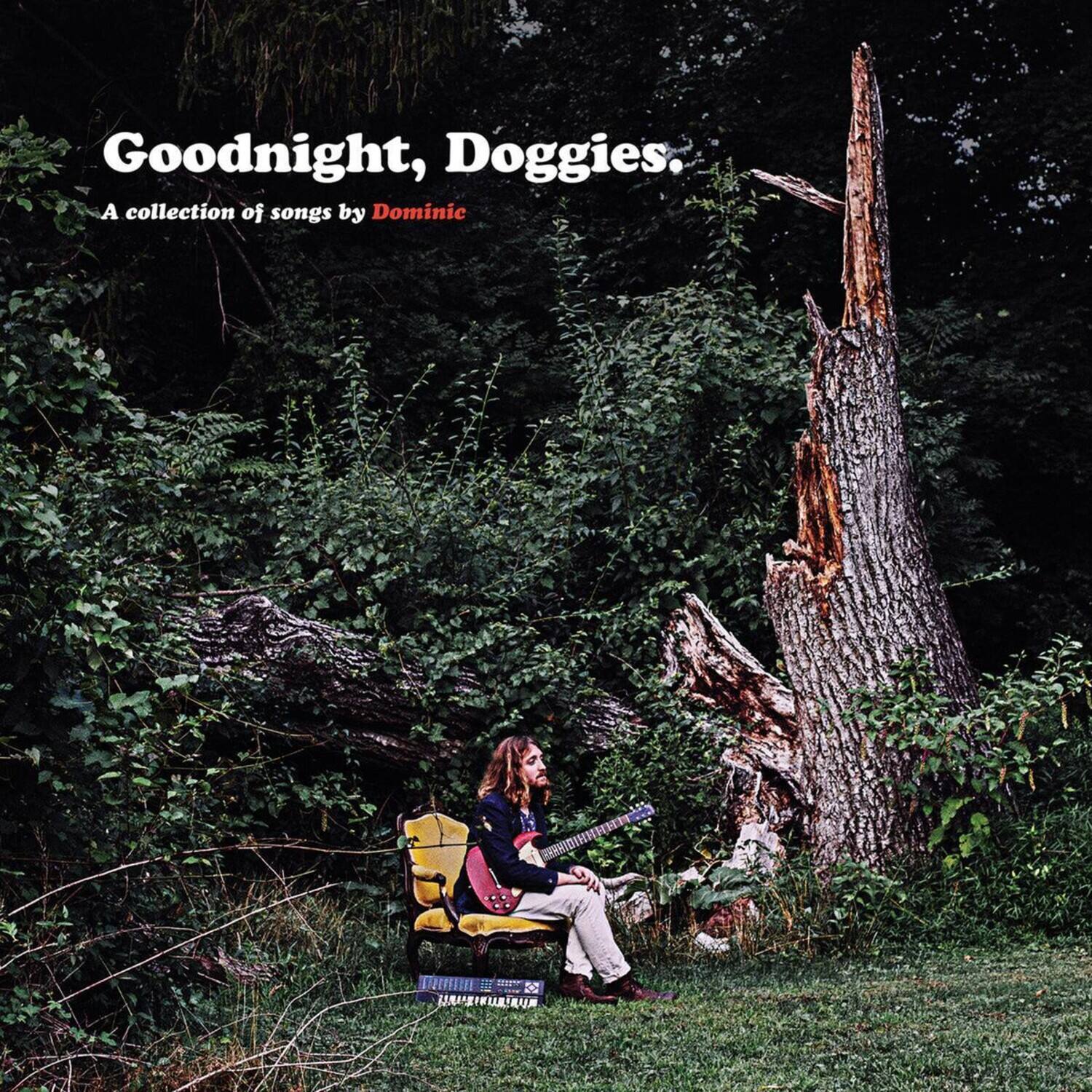 Dominic Goodnight Doggies VINYL LP - Best Buy
