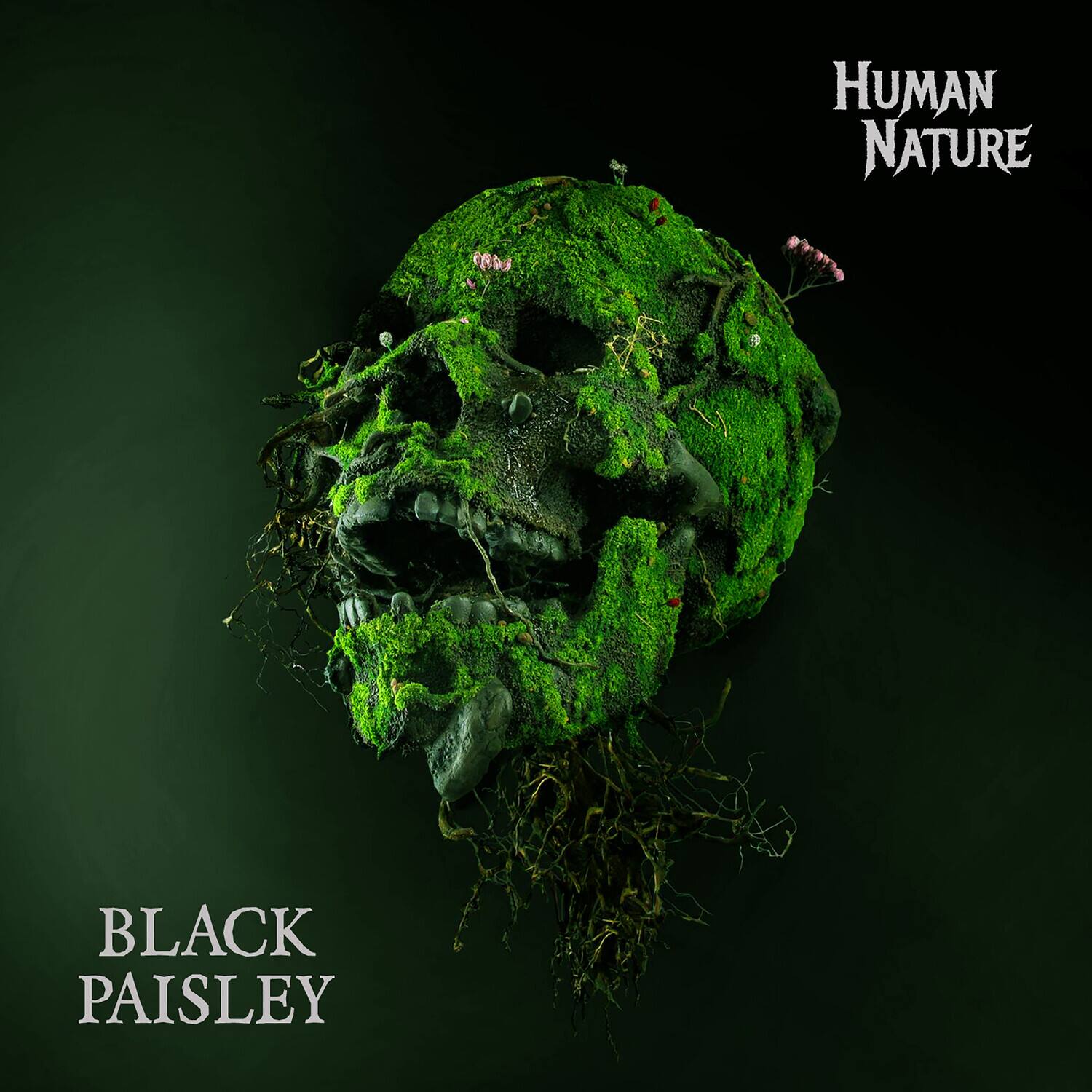 Black Paisley Human Nature COMPACT DISCS [CD] - Best Buy
