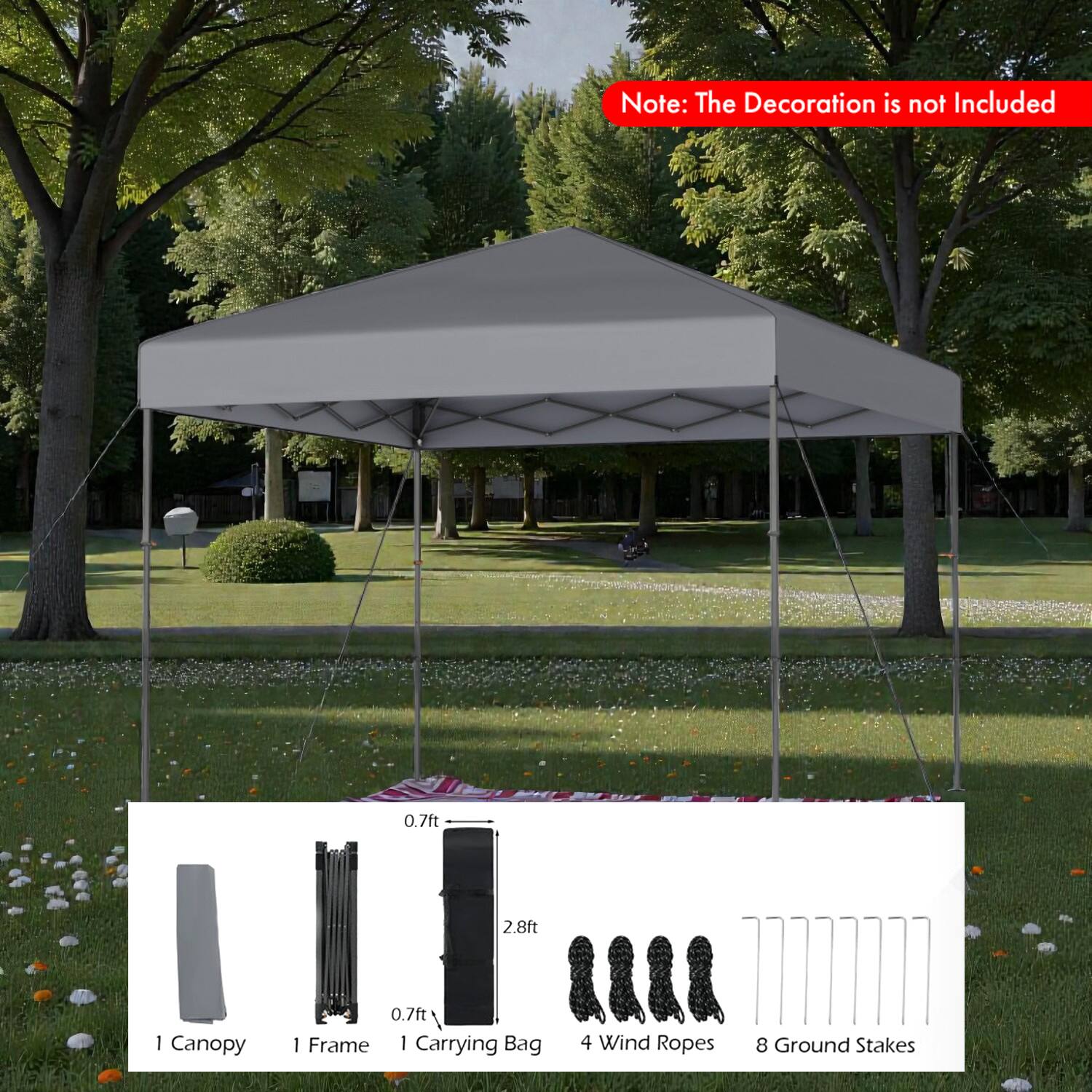 Hivvago Portable 10x10 Ft Folding Canopy with Storage Bag and Anchoring ...
