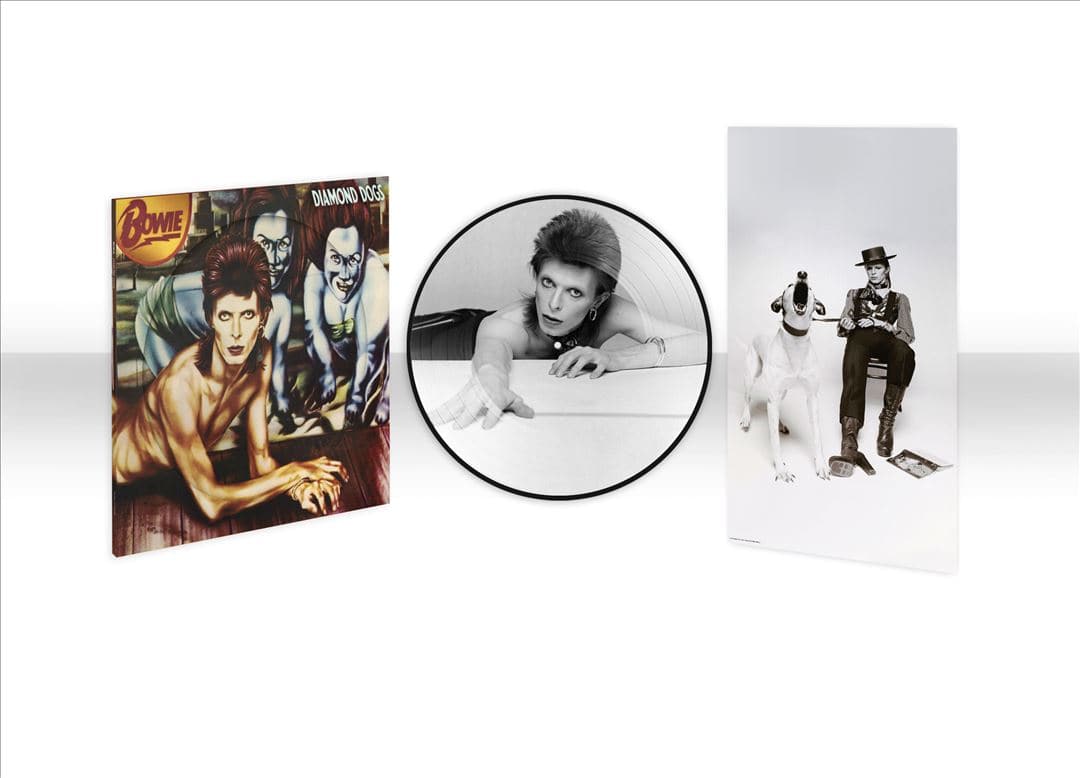 Diamond Dogs [Picture Disc] [Picture Disc] - Best Buy