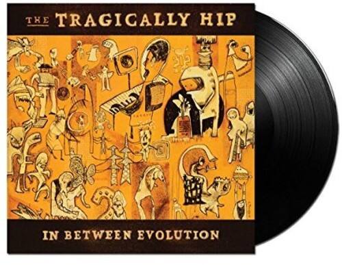 The Tragically Hip In Between Evolution VINYL LP - Best Buy