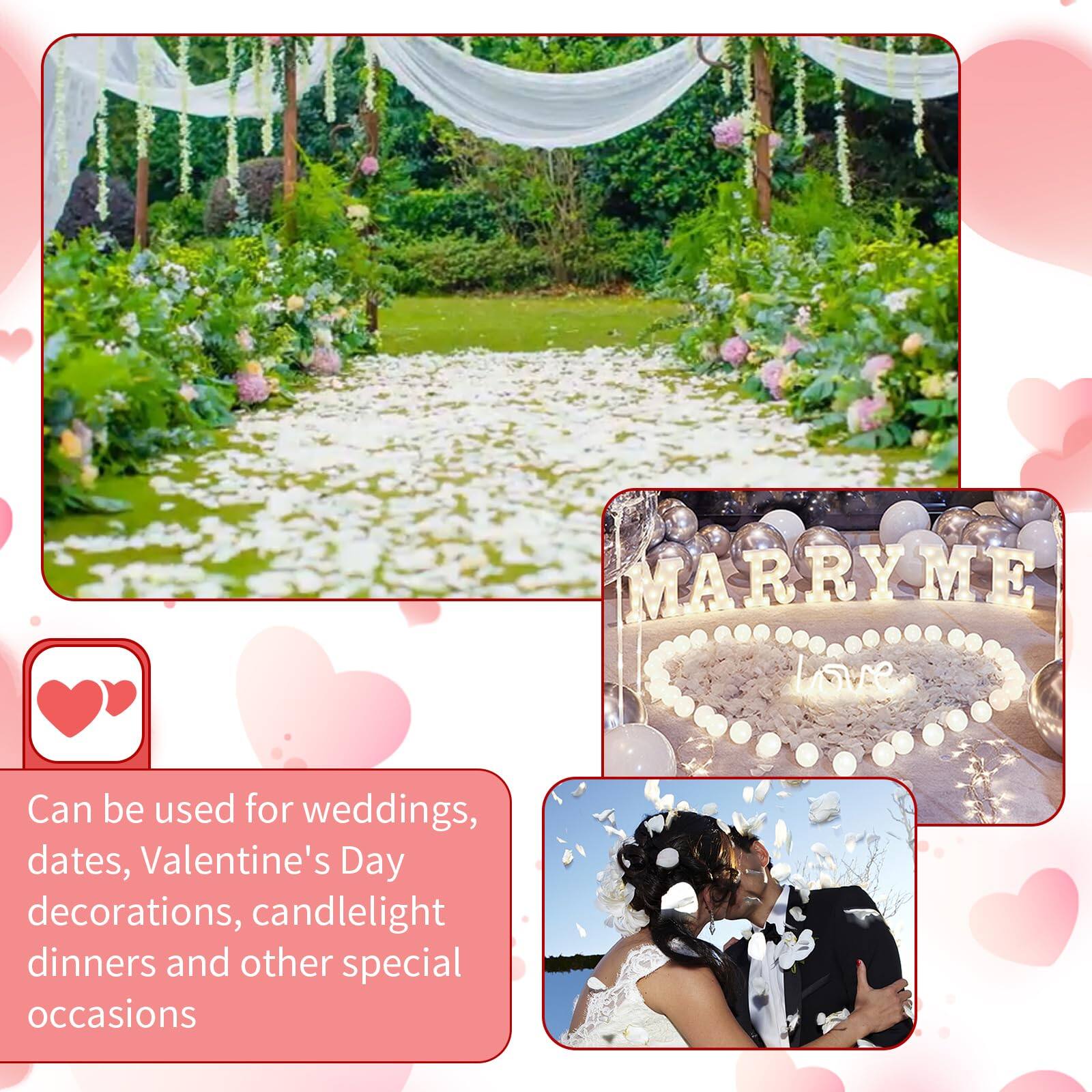 Stylel Star 1000 Artificial Rose Petals Flower For Romantic Night ...