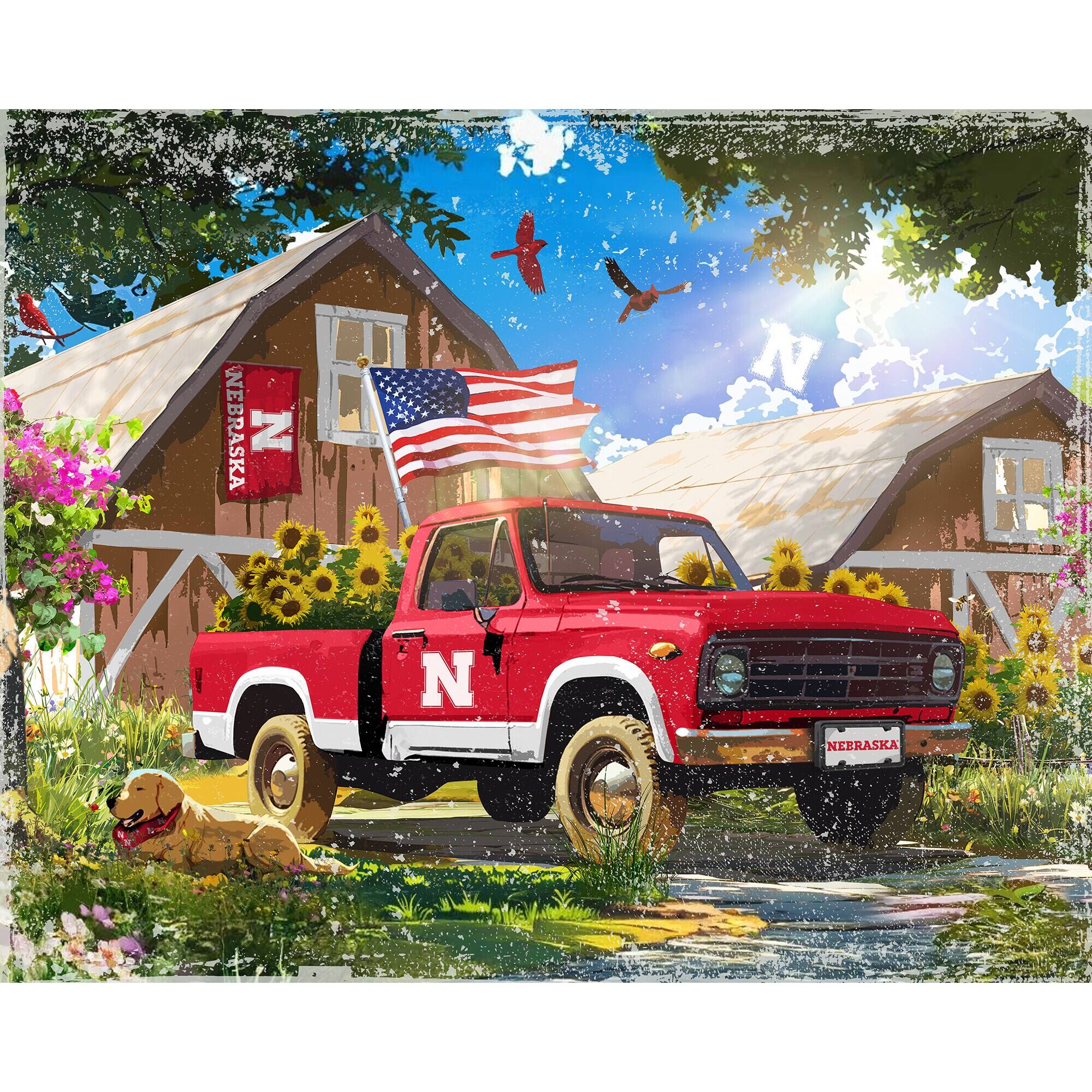 Sporticulture Nebraska Huskers 12" x 11" Four Seasons LED Light Box ...