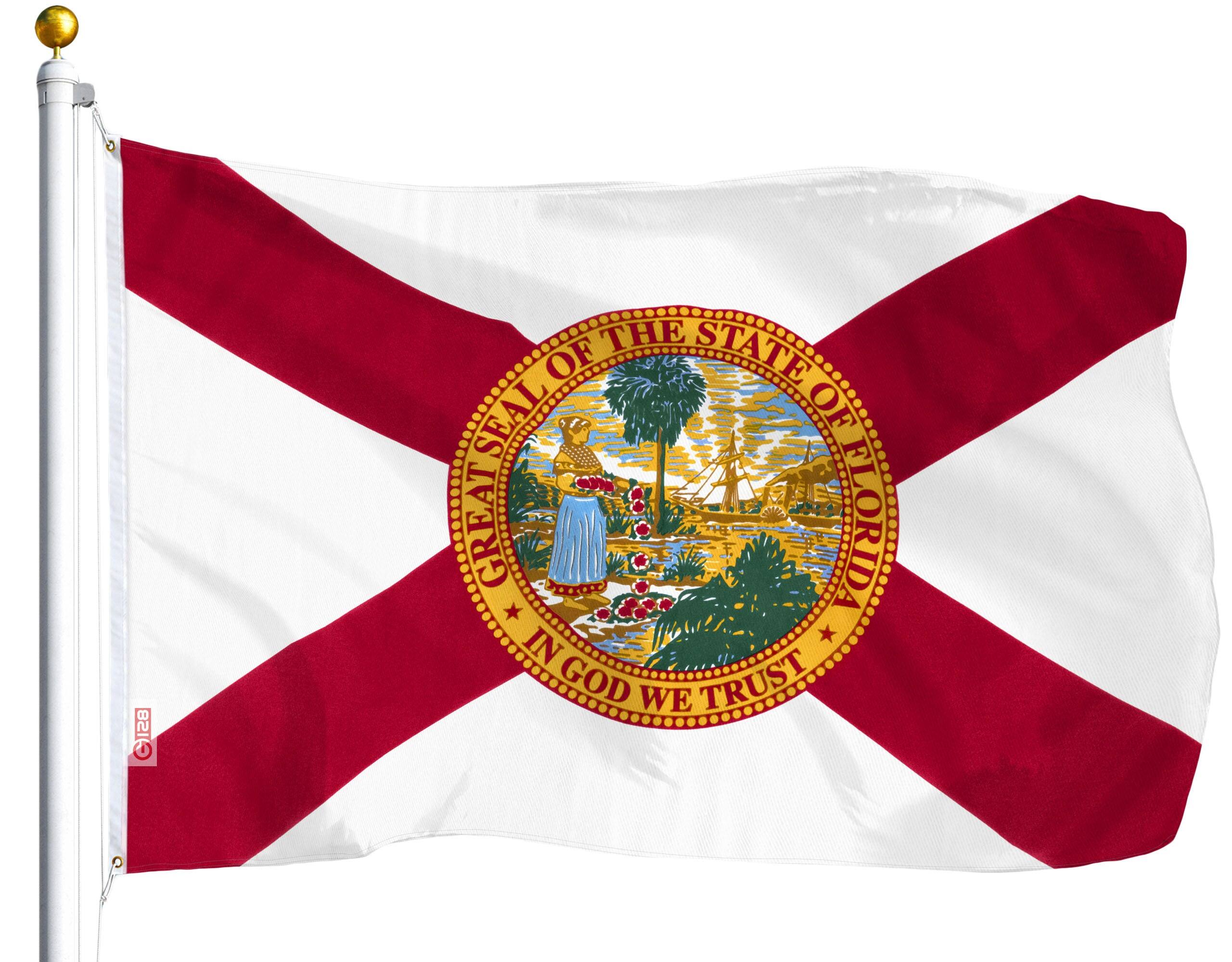 G128 Florida State Flag 3x5 ft Polyester Flag Assorted Colors FG-2FL ...
