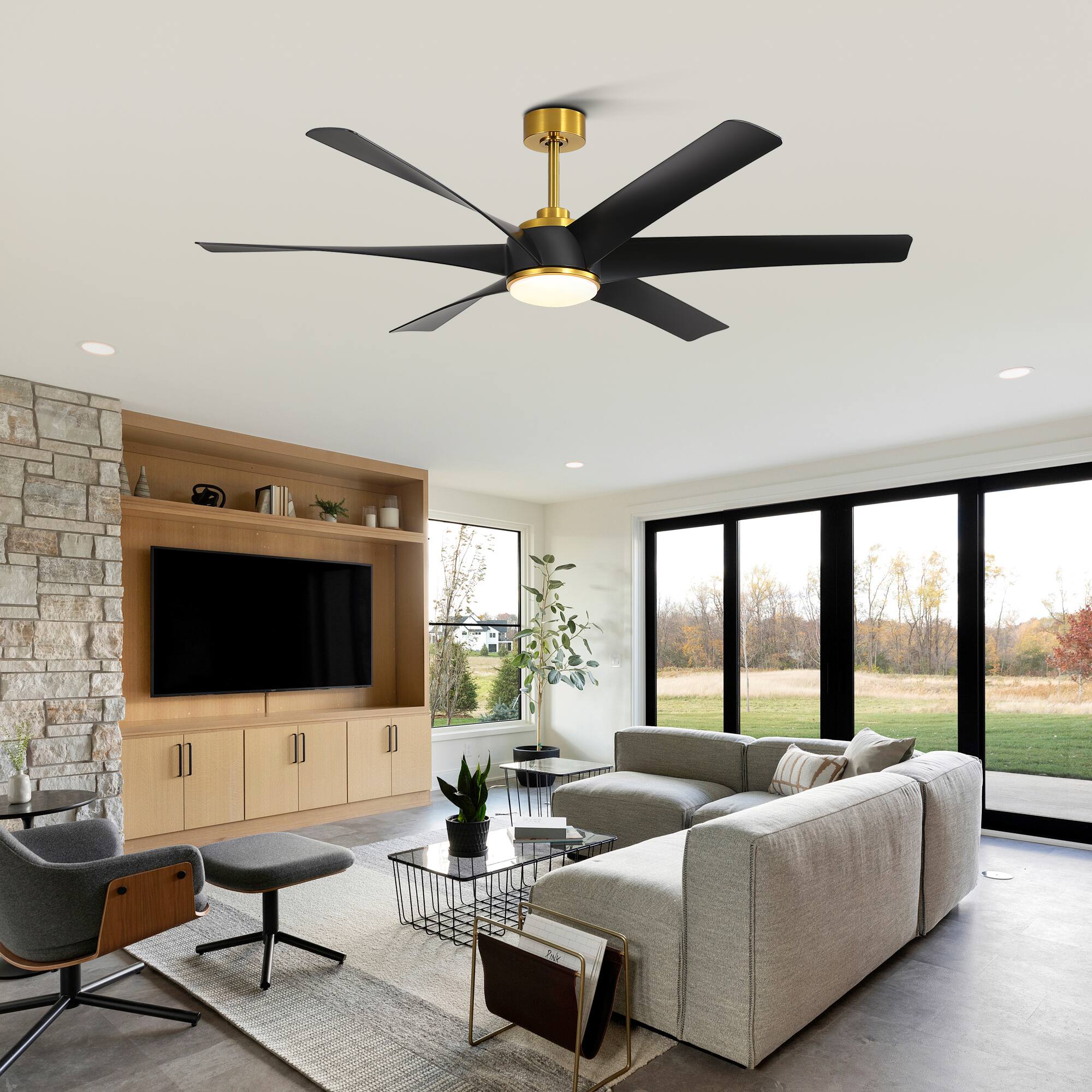 Breezary 65" Large Indoor Ceiling Fan with Remote Control, 6 ABS Blades, 6 Speed DC Motor, 7"/12 ...