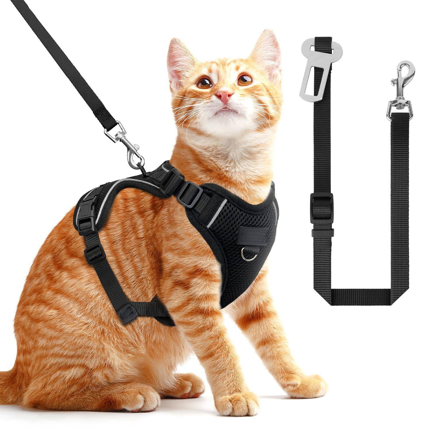 Paradigms Interiors Cat Harness And Leash For Walking Adjusted In Four ...