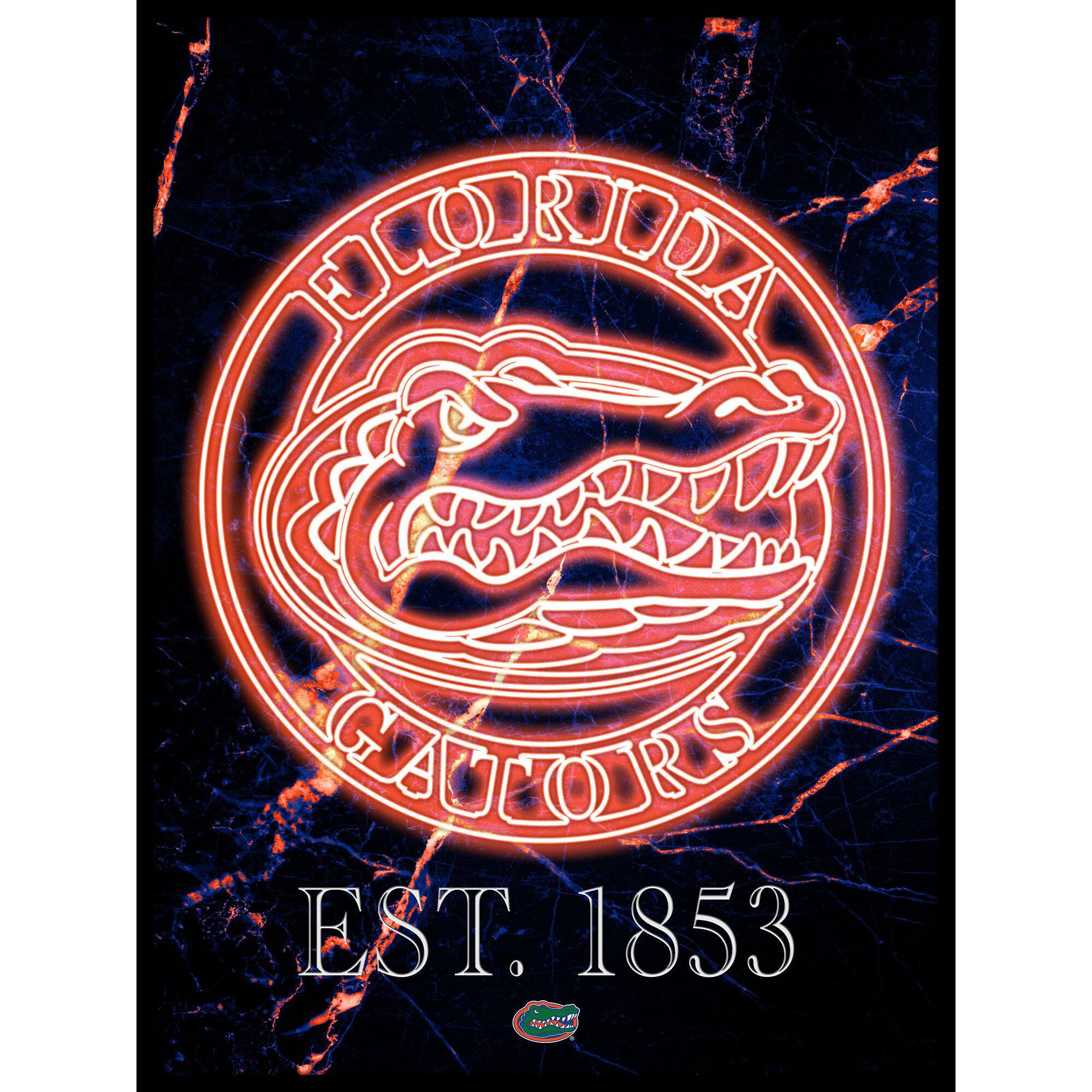 Fan Creations Florida Gators 12'' x 16'' Framed Circle Logo Print Black ...