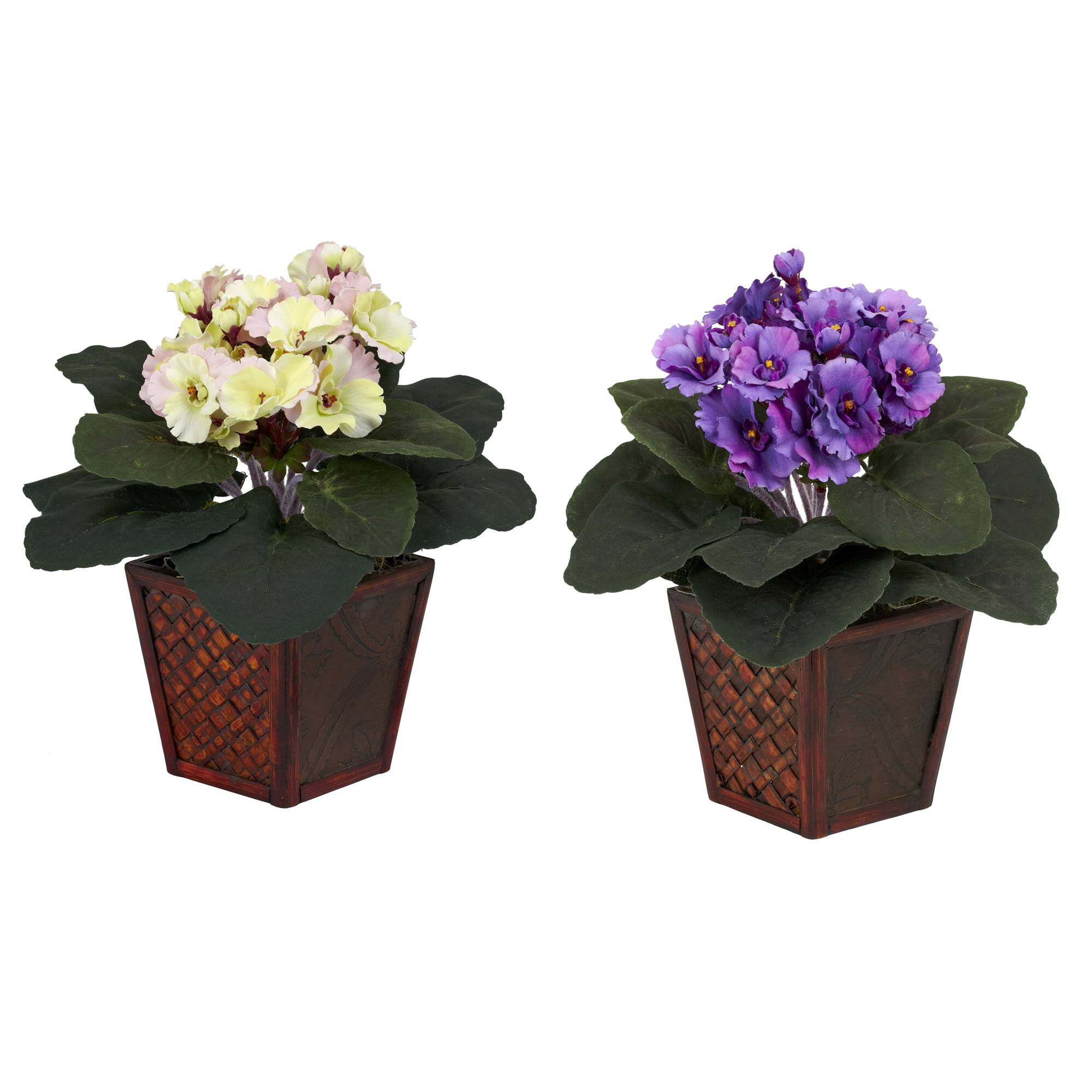 BreeBe African Violet w/Vase Purple & Cream/Pink 6685-S2 - Best Buy