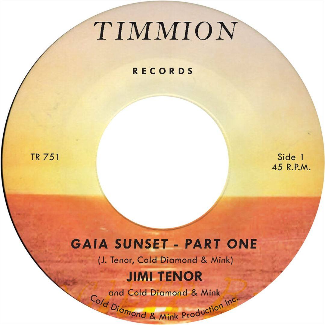 Gaia Sunset [7 inch Vinyl Disc] - Best Buy
