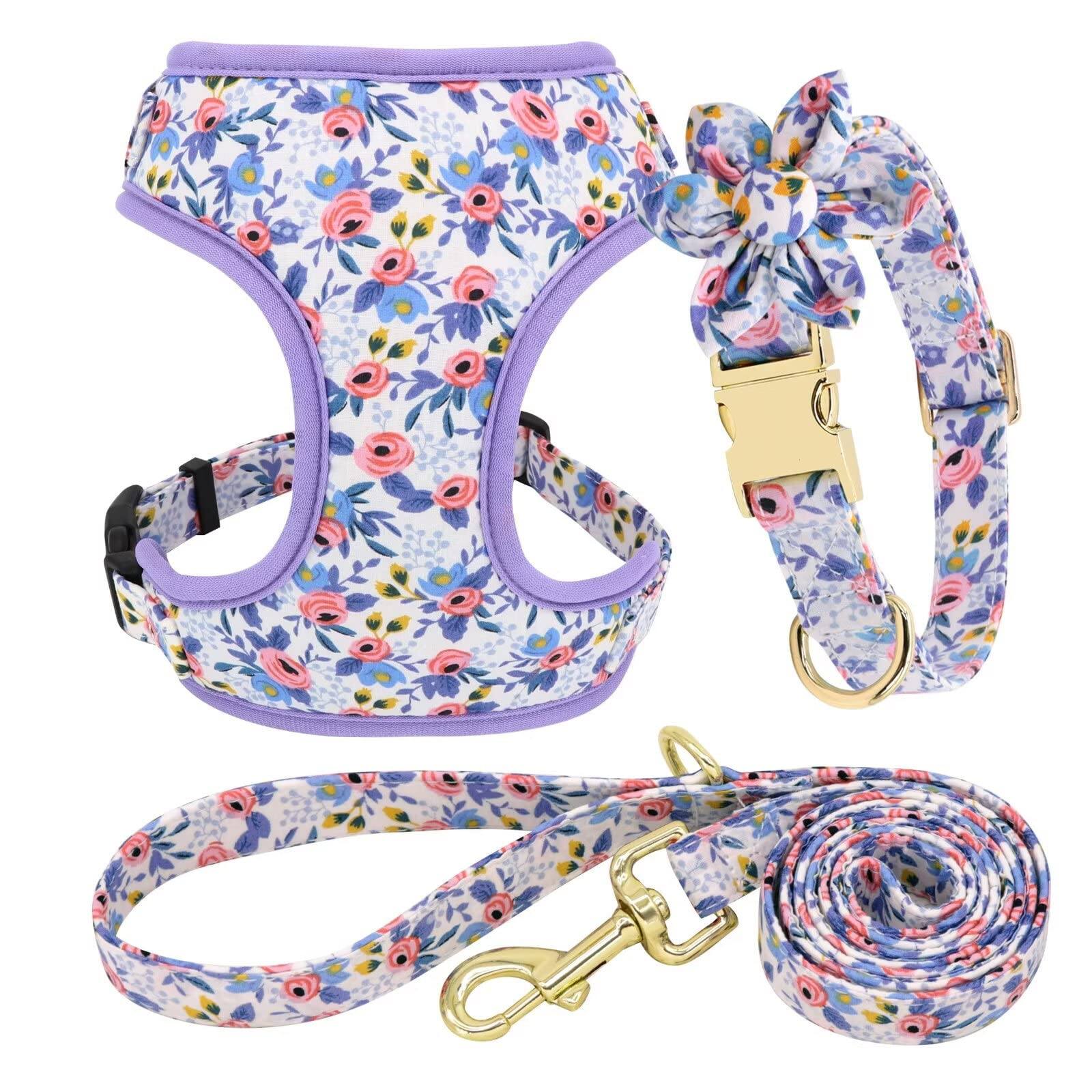 Paradigms Interiors Cute Girl Dog Collars Harnesses & Leashes Set ...
