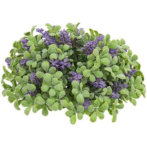 BreeBe *Purple Sage Boxwood Half Sphere Green, Purple FBR3902 - Best Buy