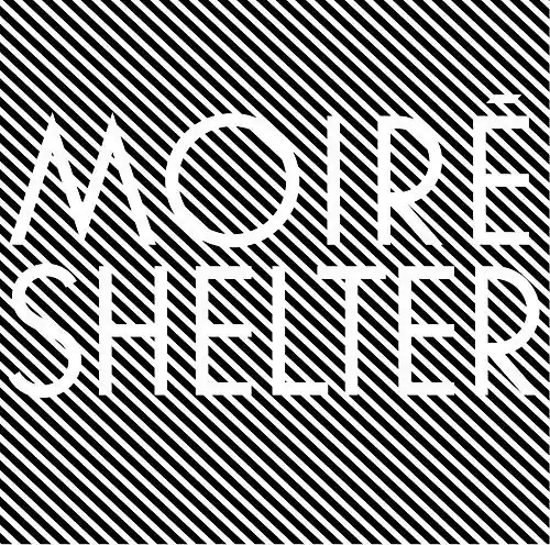 Moire Shelter COMPACT DISCS [CD] - Best Buy