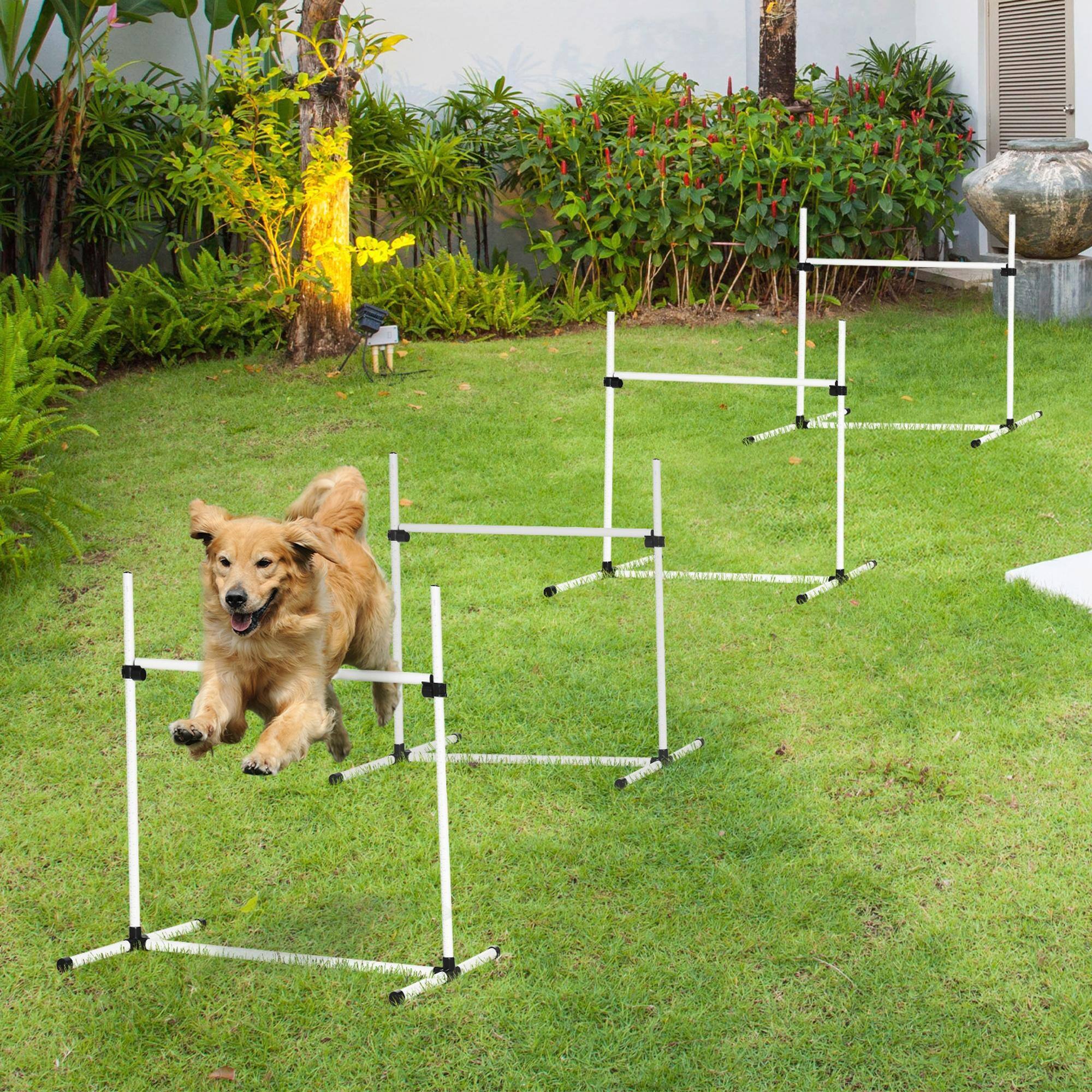 Pawhut 4 Piece Dog Agility Equipment, Adjustable Height Jump Bars ...