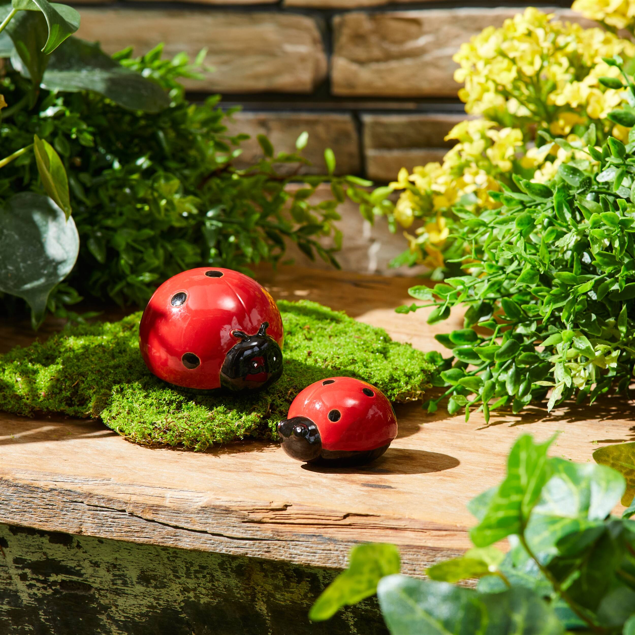 BreeBe Lady Bug (Set of 24) Red, Black 96762DS - Best Buy