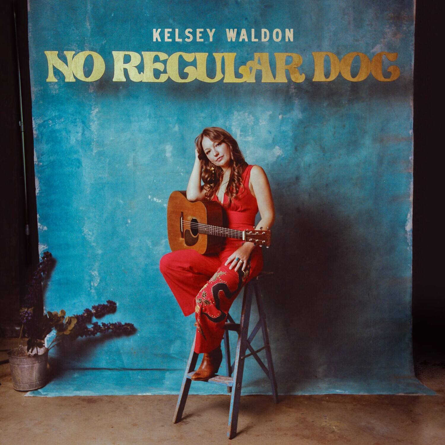 Kelsey Waldon No Regular Dog COMPACT DISCS [CD] - Best Buy