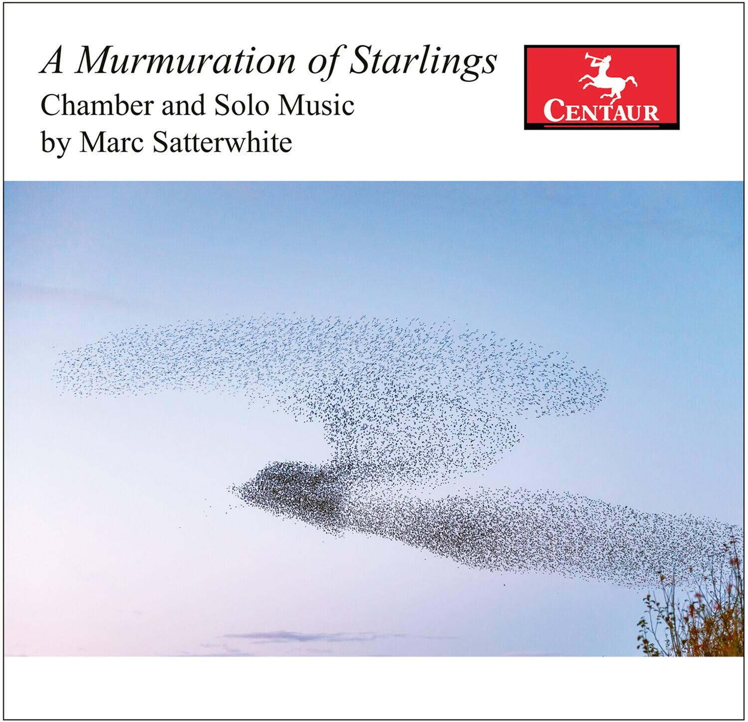 Kathleen Karr A Murmuration of Starlings COMPACT DISCS [CD] - Best Buy
