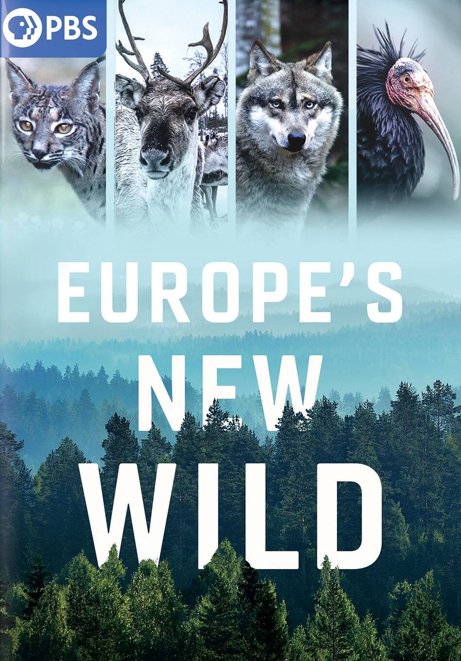 Best Buy: Europe's New Wild [2 Discs]
