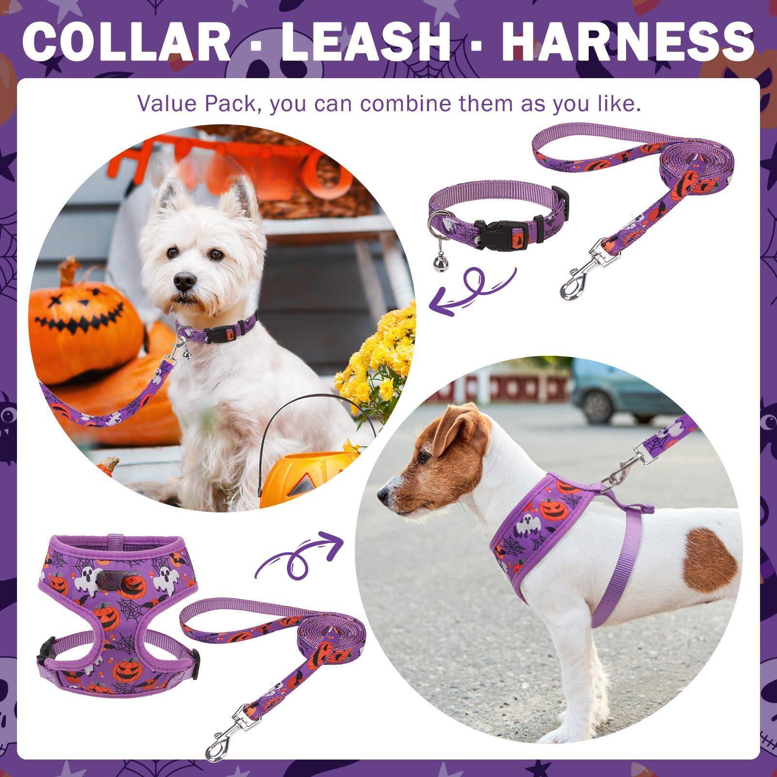 Paradigms Interiors Dog Harness Collar And Leash Set No Pull Pet ...