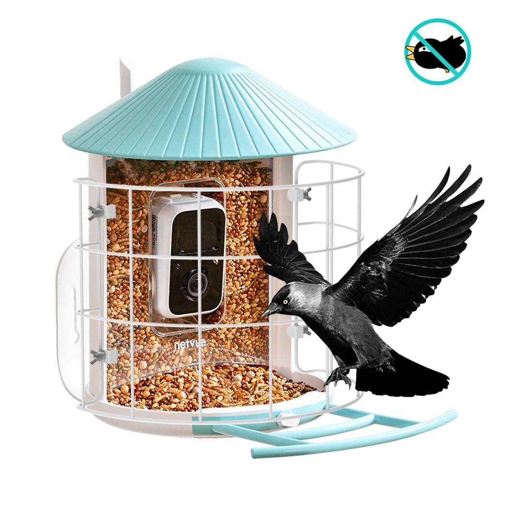 Shield, Keep Out Birds' Predators, Must Have Feeder Accessories Only ...