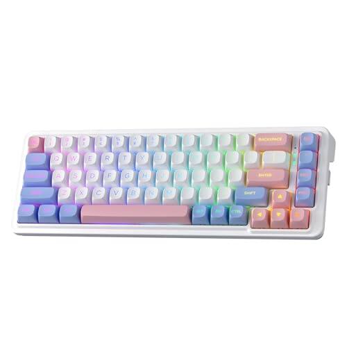 Earthley Blooms K709 65 Wired Gasket Rgb Gaming Hot swap Compact ...